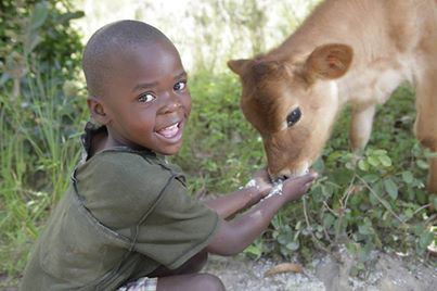 Heifer Project International, Inc. | GiveMN