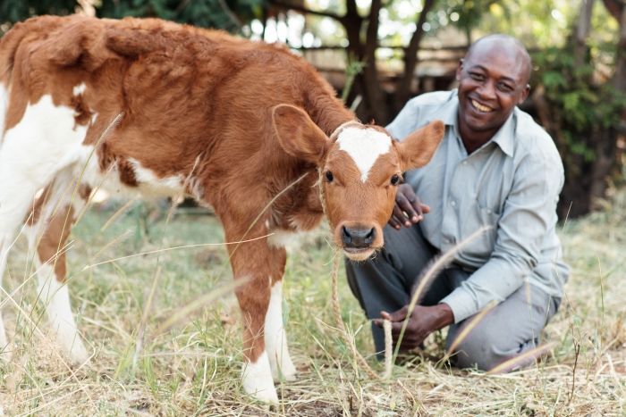 Heifer Project International, Inc. | GiveMN
