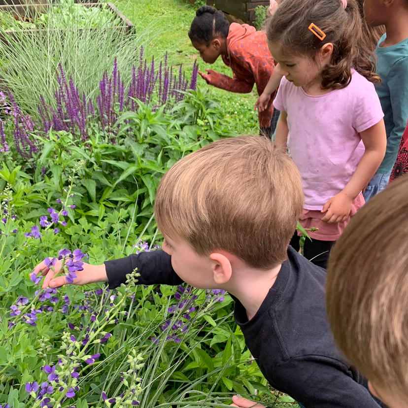 Bloom Elementary PTA (Bloom Garden Project) | Give for Good Louisville