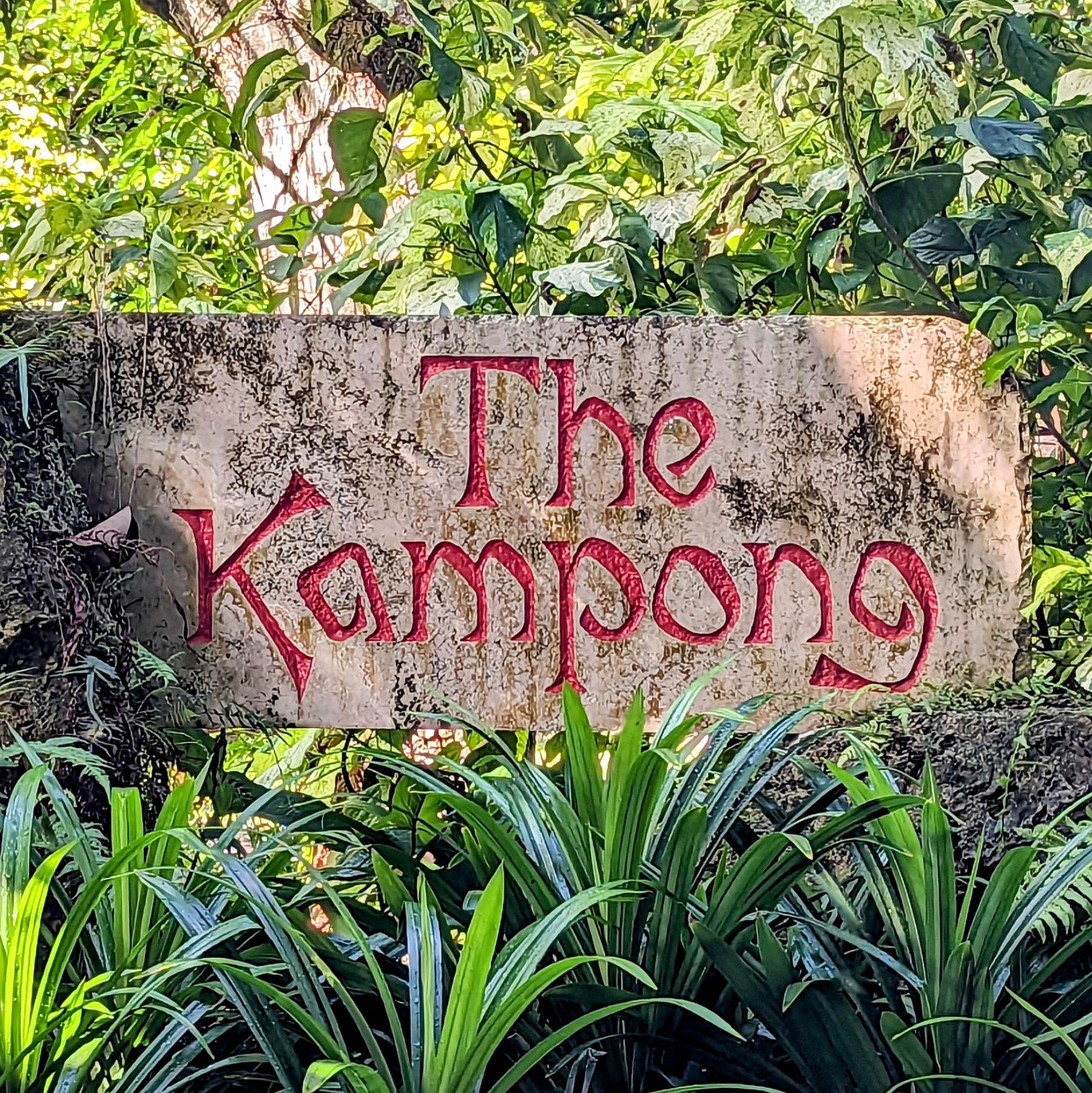 The Kampong of the National Tropical Botanical Garden | Give Miami Day