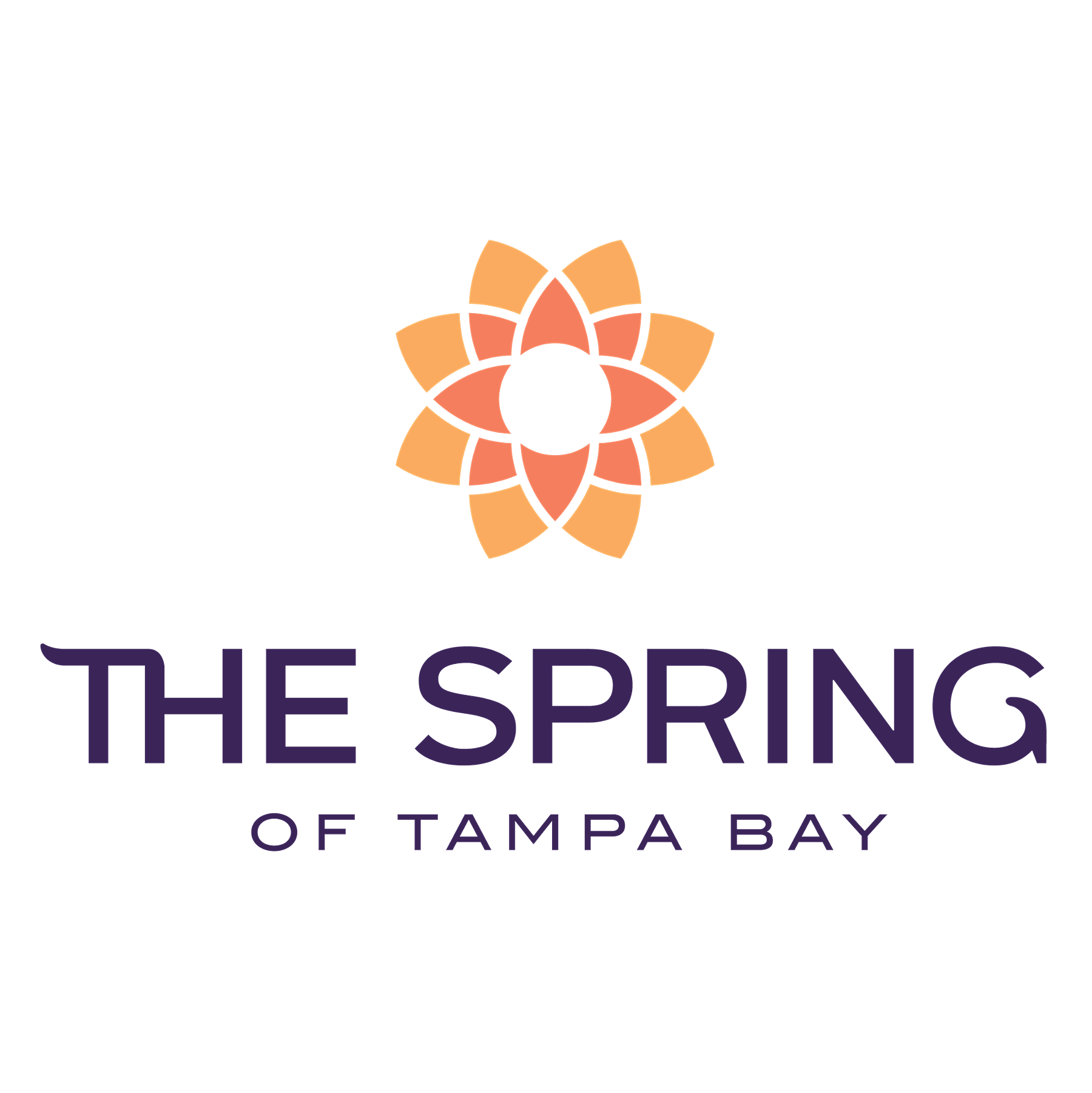 The Spring of Tampa Bay Inc | Mightycause