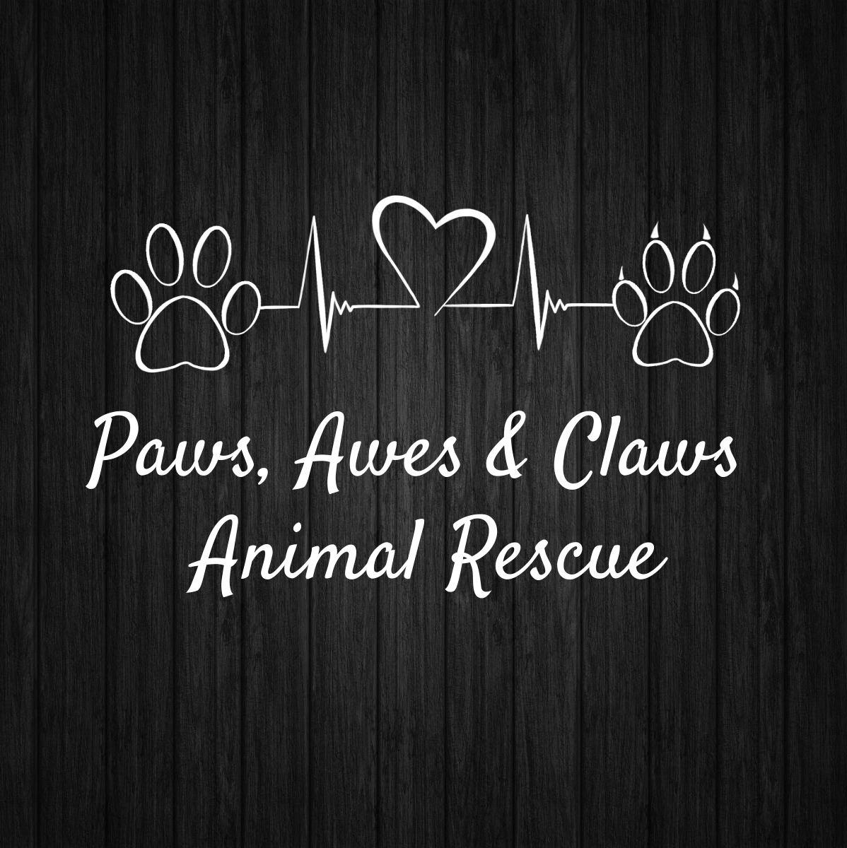 Paws Awes & Claws | Rocket Community Challenge