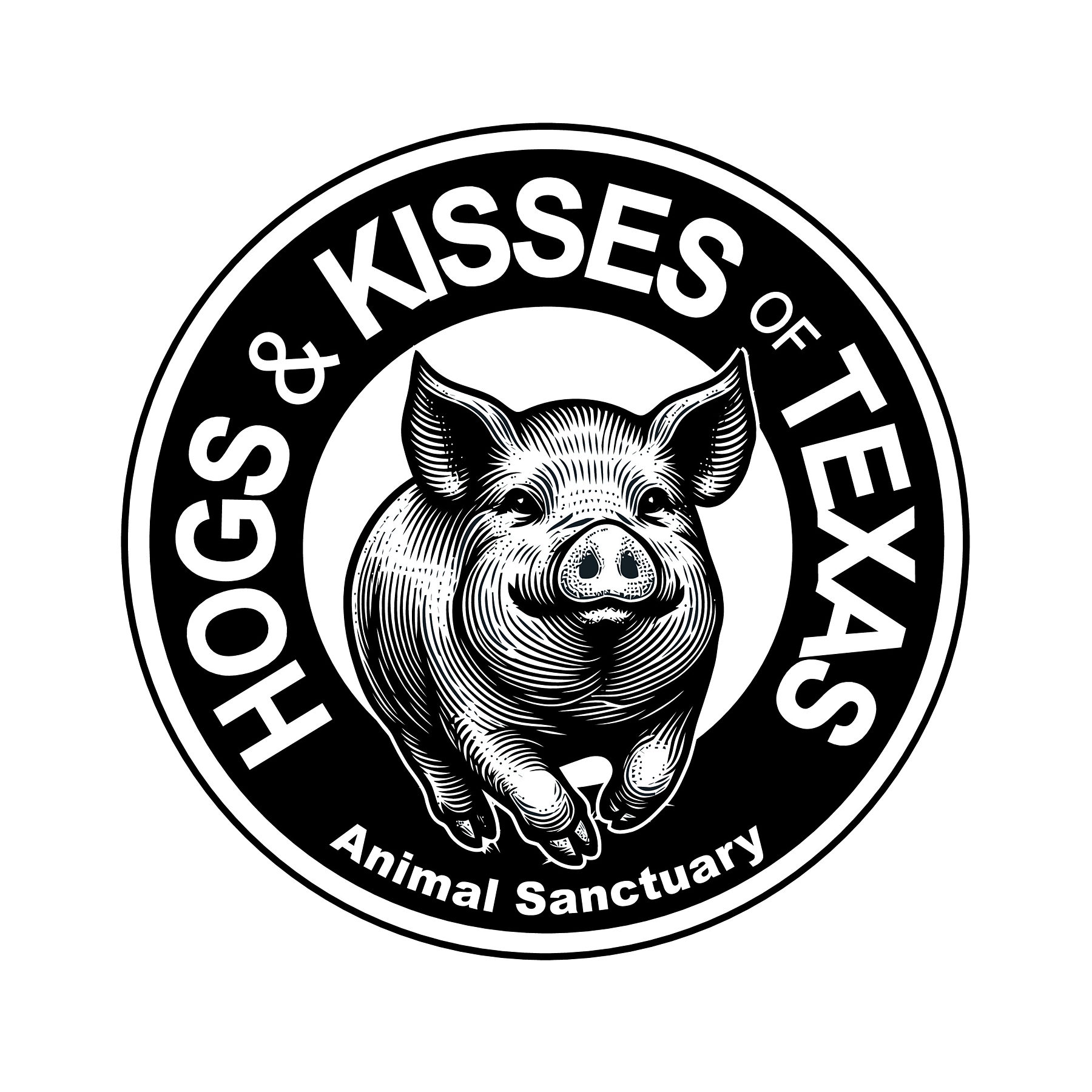 Hogs and Kisses of Texas Animal Sanctuary | North Texas Giving Day