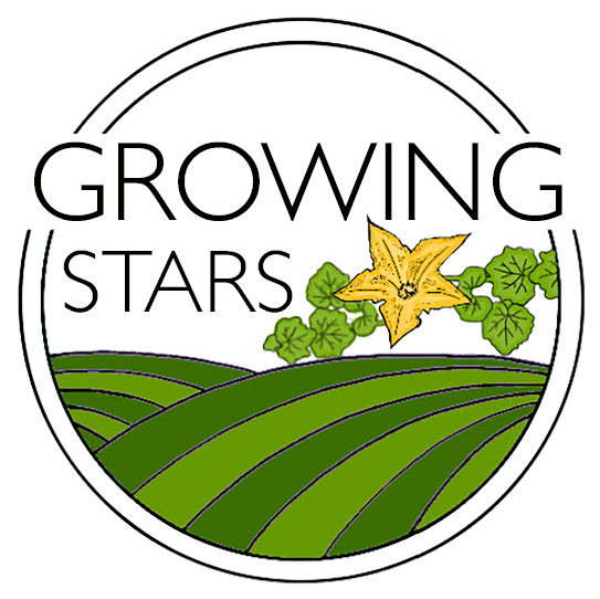 Growing Stars Inc | Mightycause