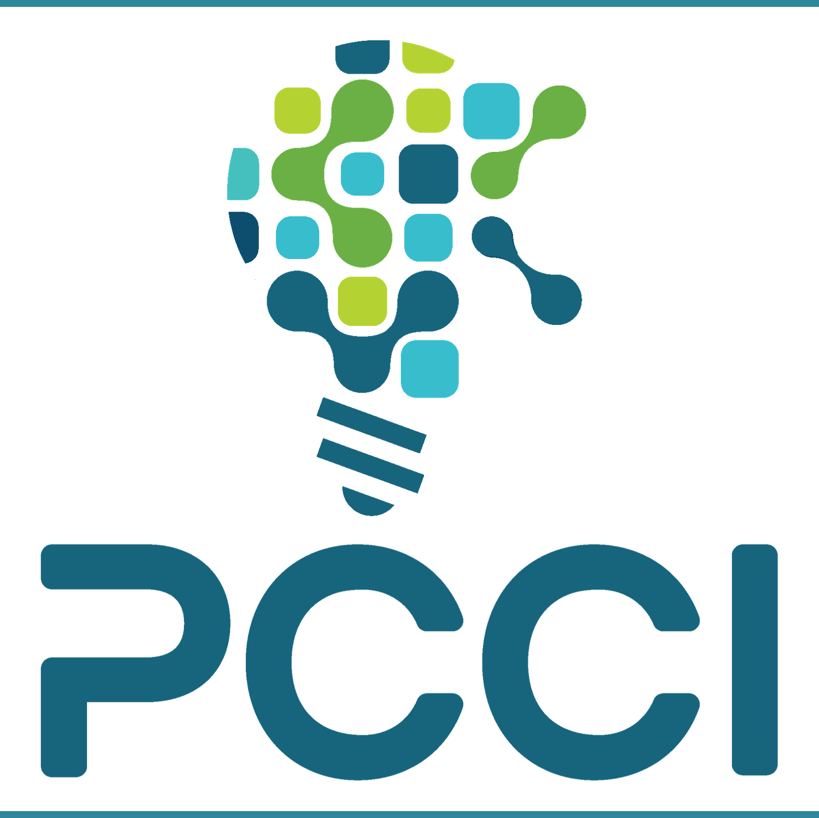 PCCI | North Texas Giving Day