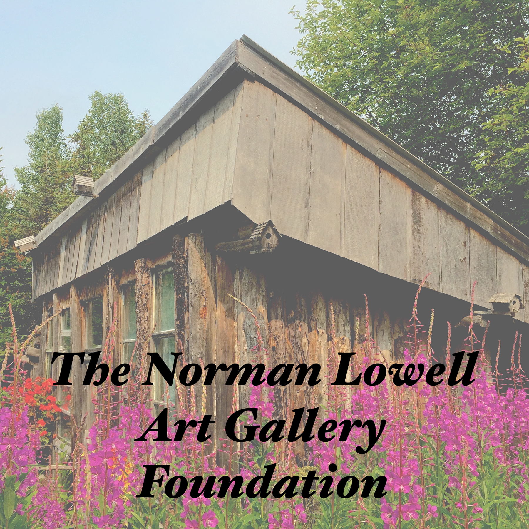 Norman Lowell Art Gallery Foundation | Mightycause