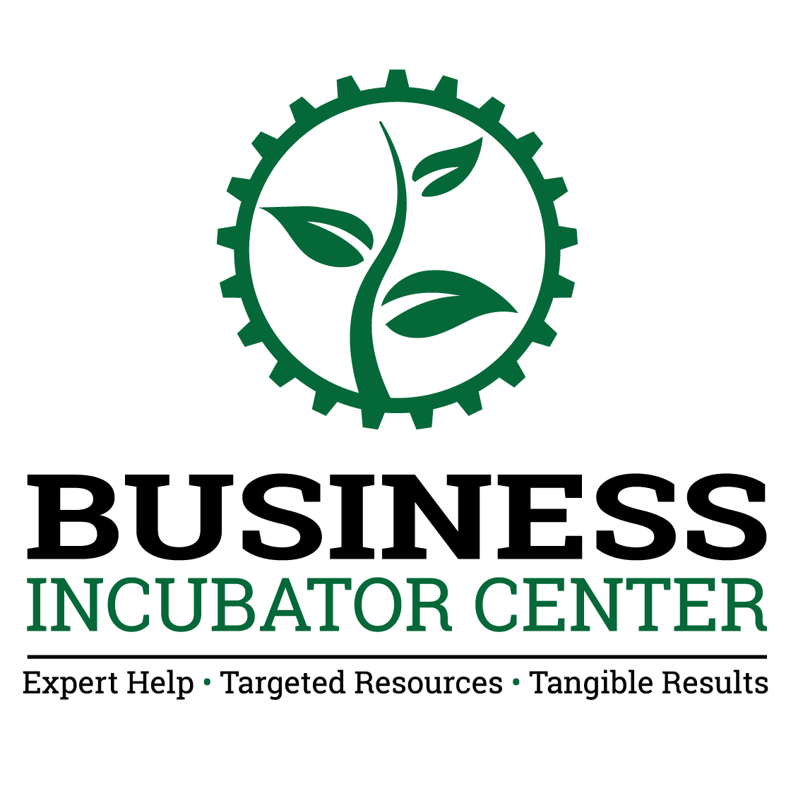 Business Incubator Center | ColoradoGives.org