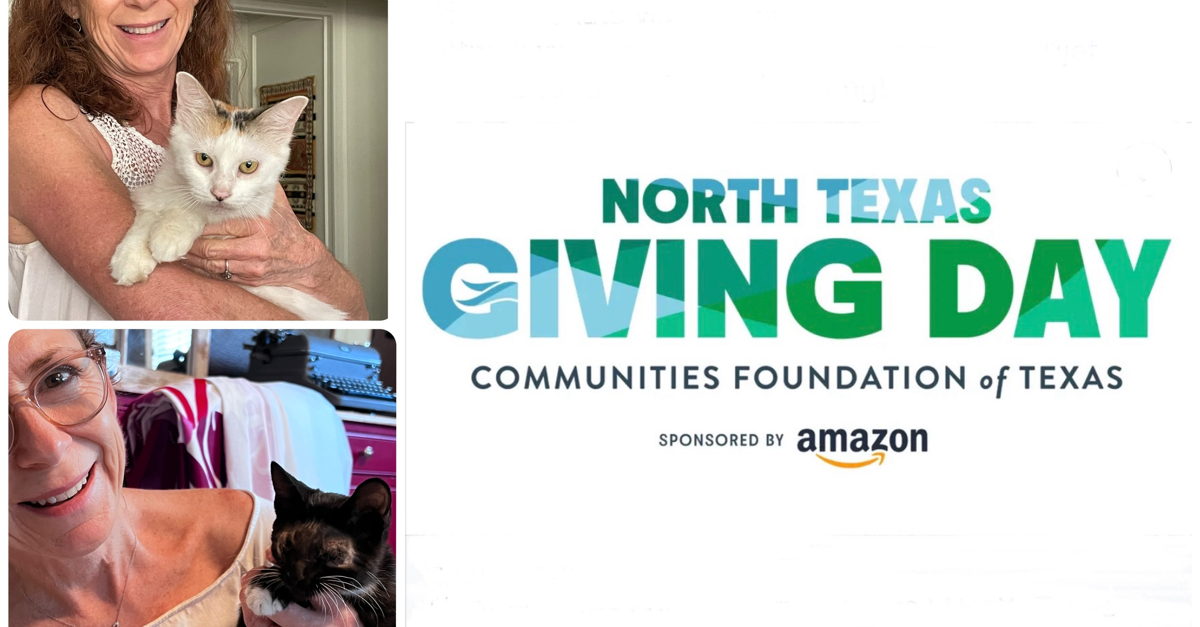 Kelley’s Dallas Cat Lady Goal | North Texas Giving Day