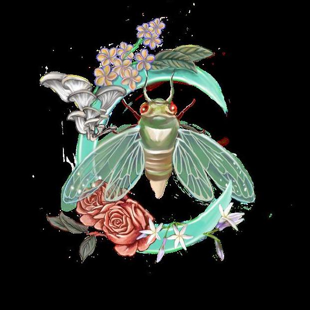 The Cicada Institute | GivingTuesday