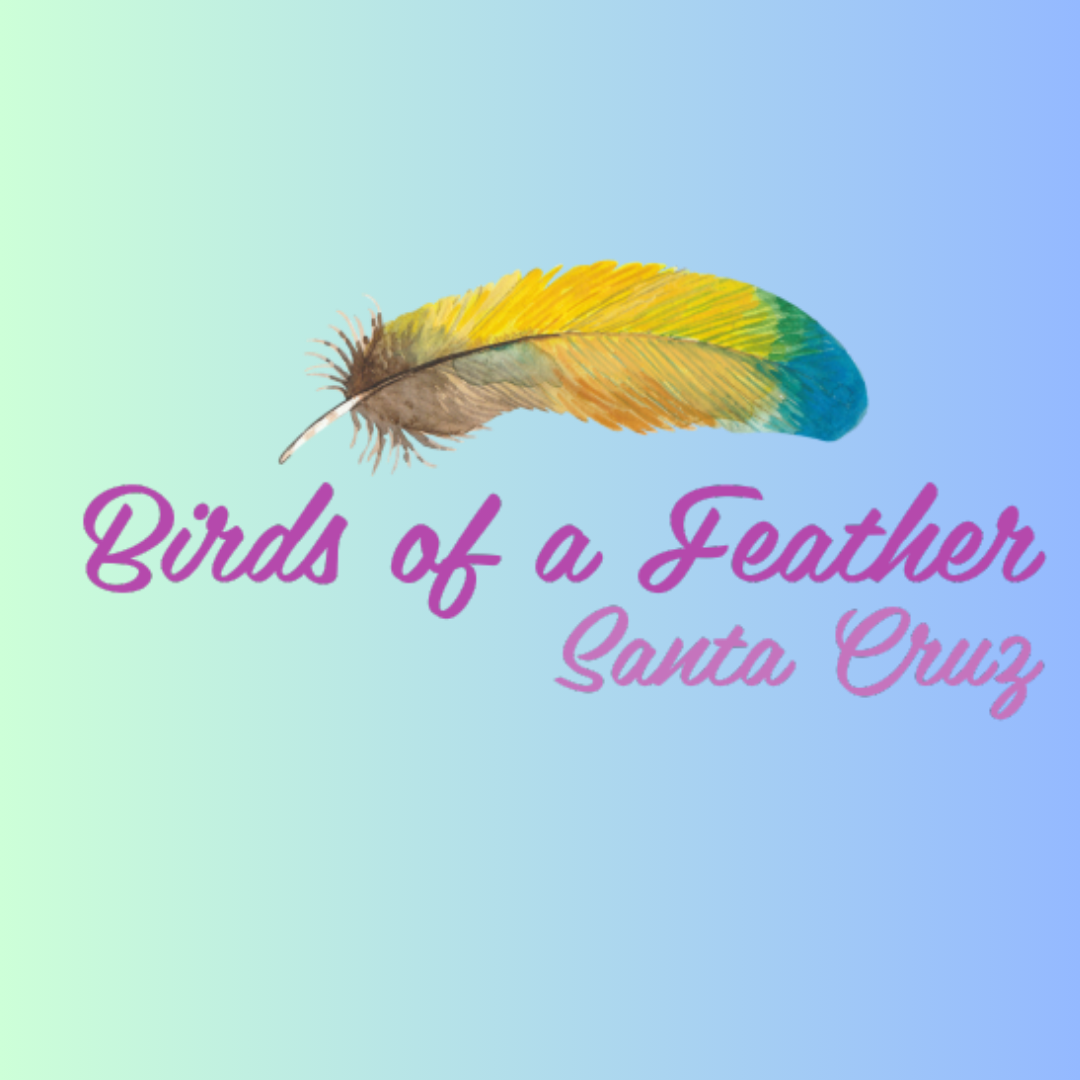 Birds of a Feather | Give Out Day