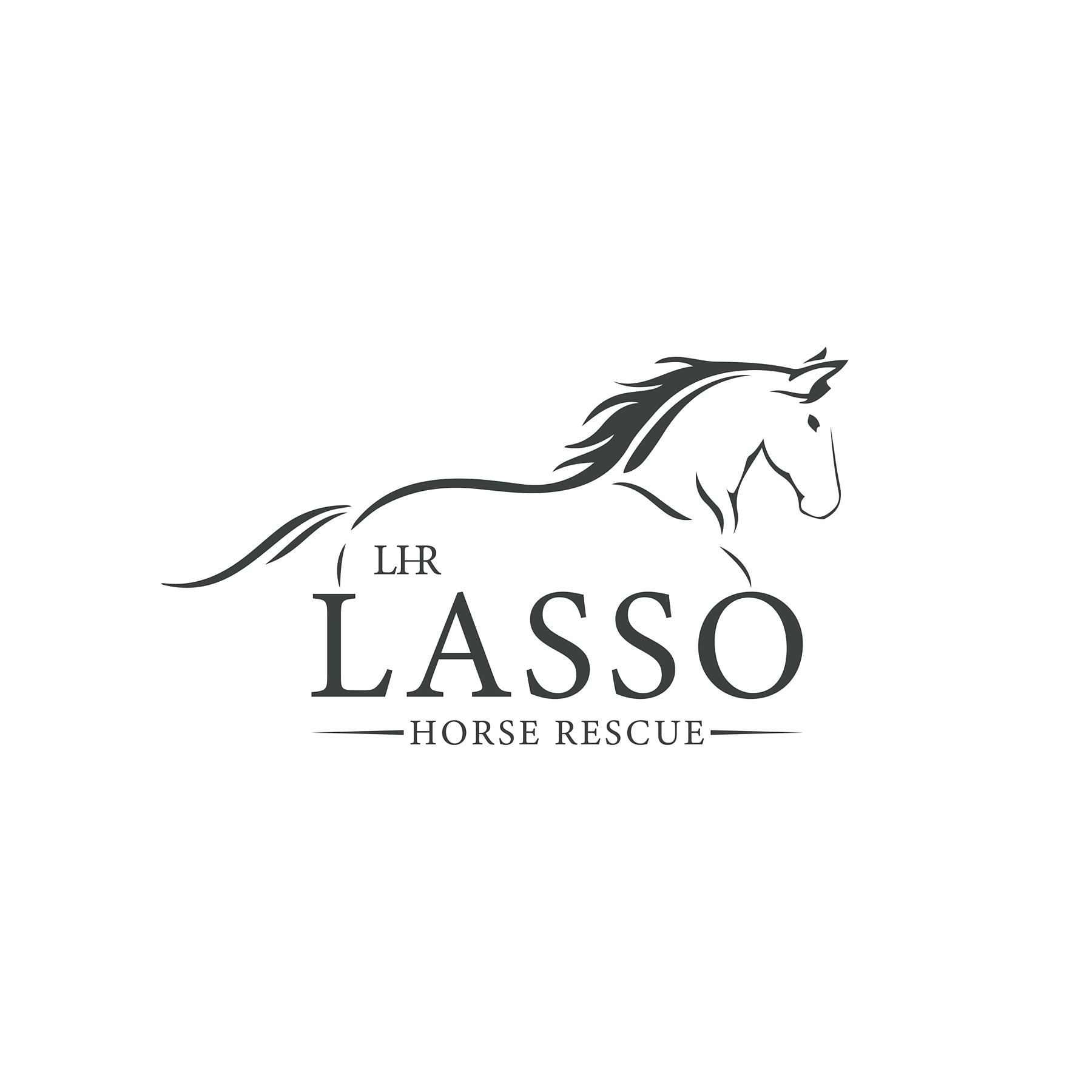 LASSO | ColoradoGives.org