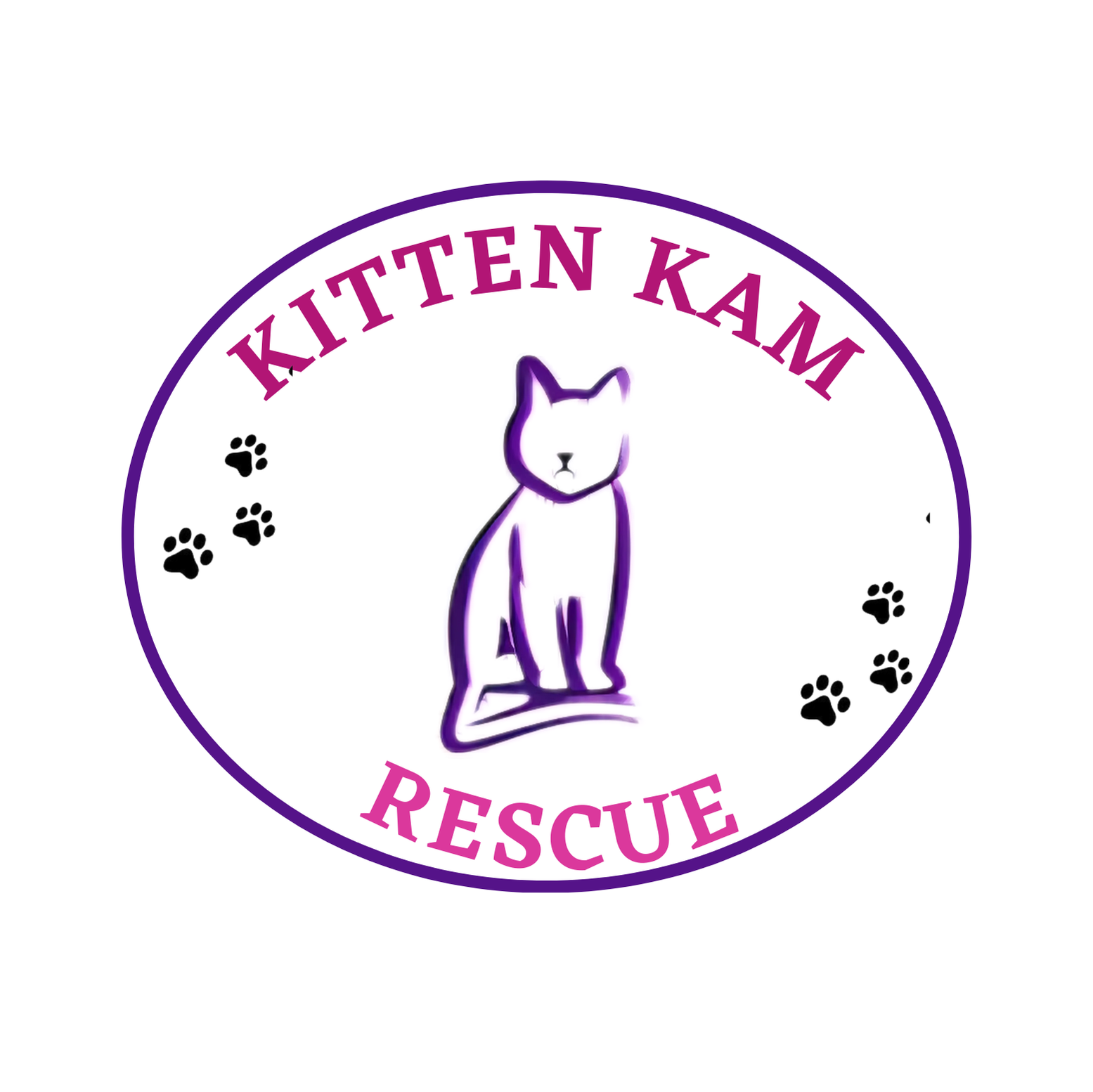 Kitten Kam | GiveMN