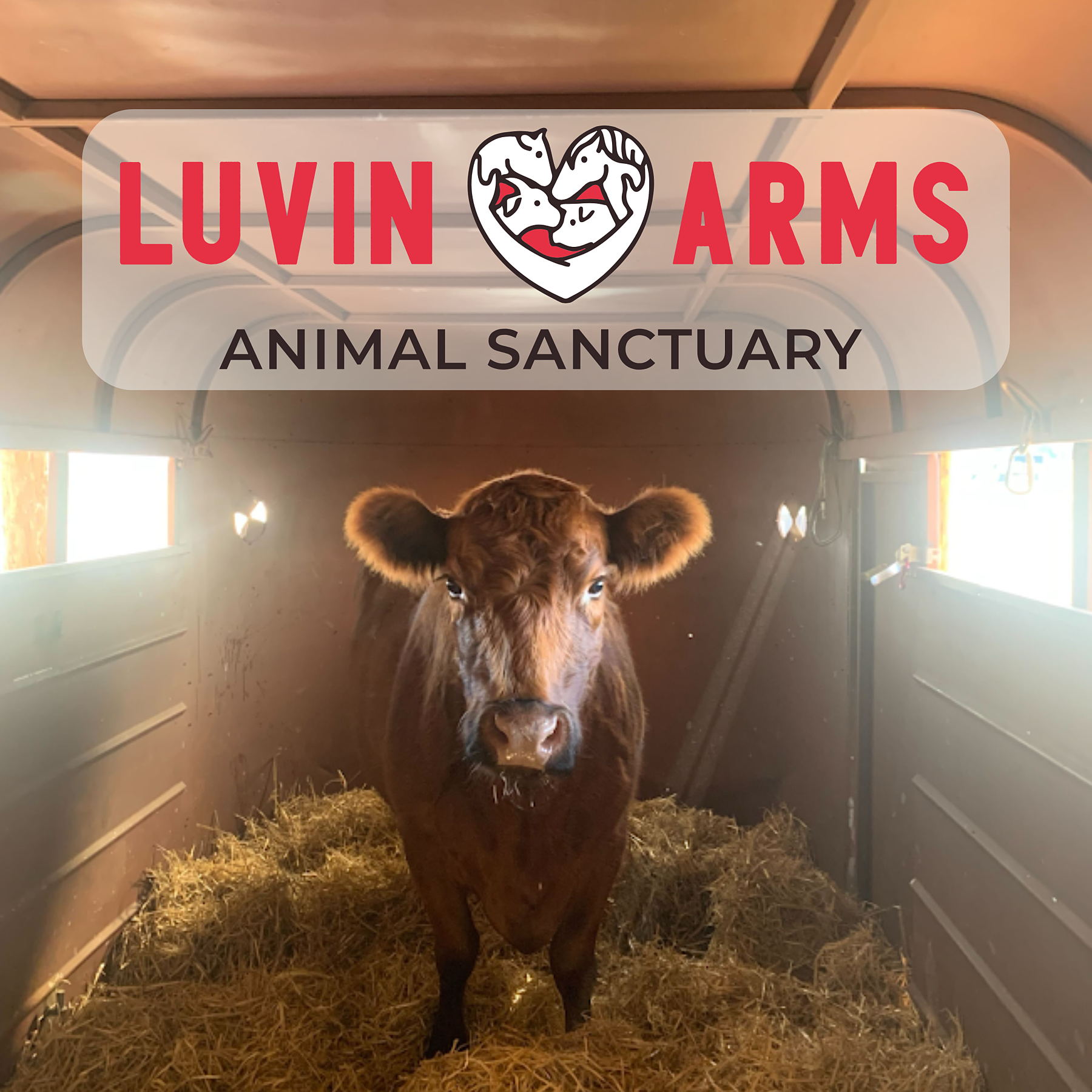 Luvin Arms Animal Sanctuary | ColoradoGives.org