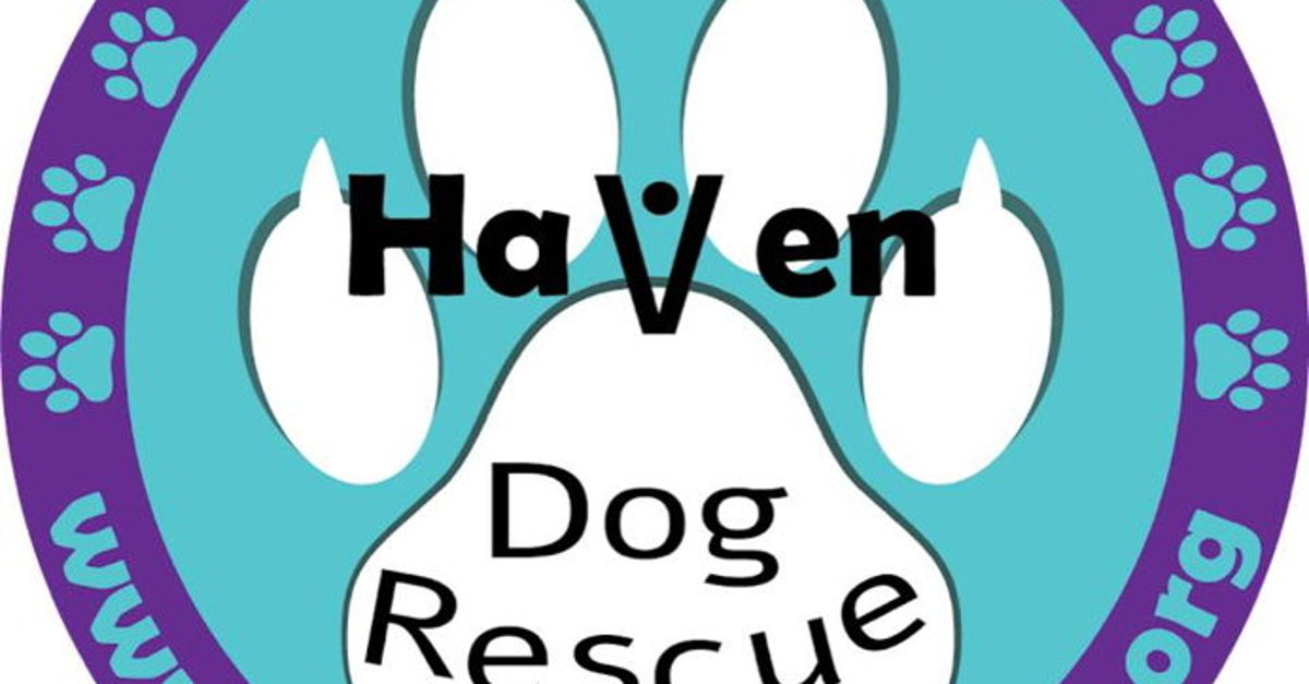 Haven Dog Rescue | GivingEdge