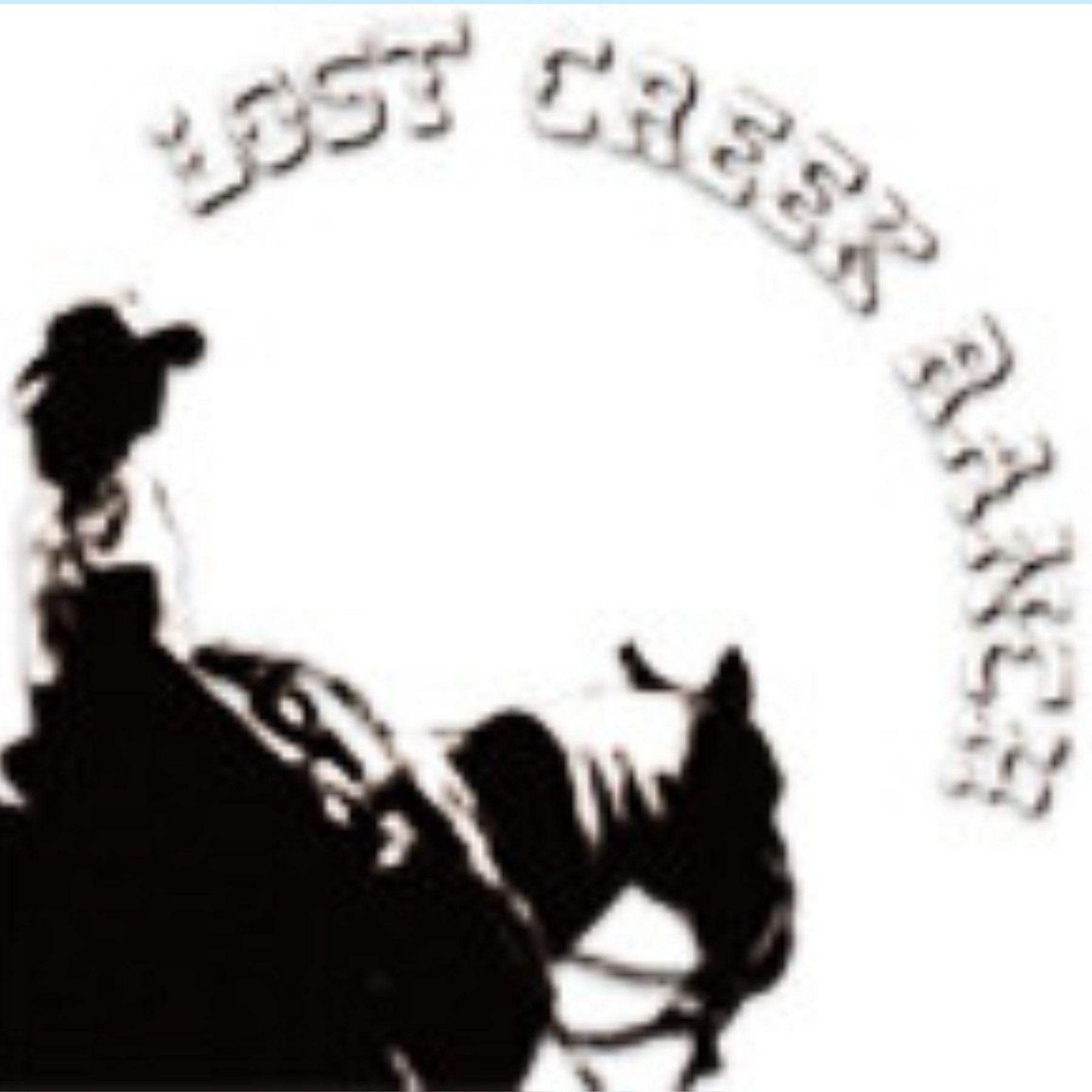 Lost Creek Ranch Camp Confidence | GiveMN