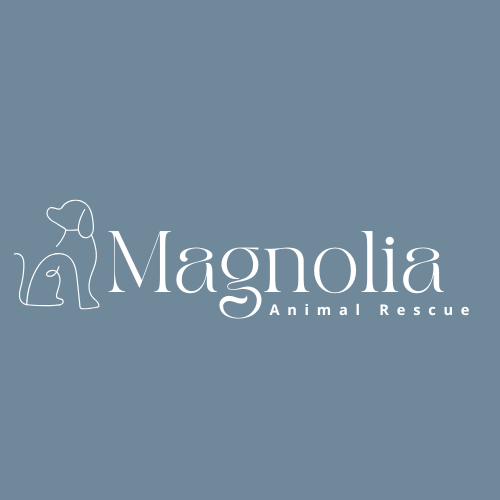 Magnolia Animal Rescue | North Texas Giving Day