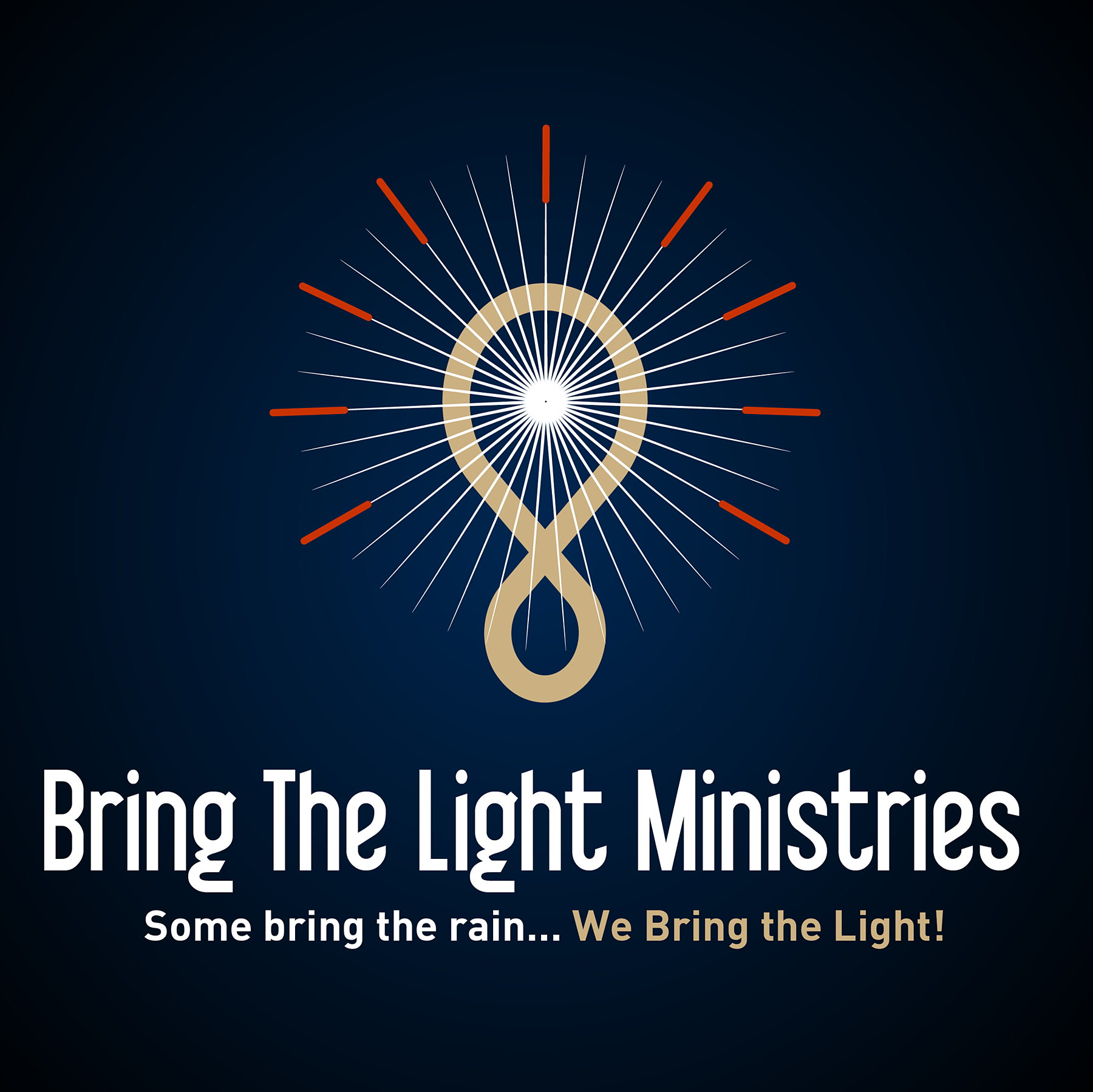 Bring The Light Ministries, INC. | North Texas Giving Day