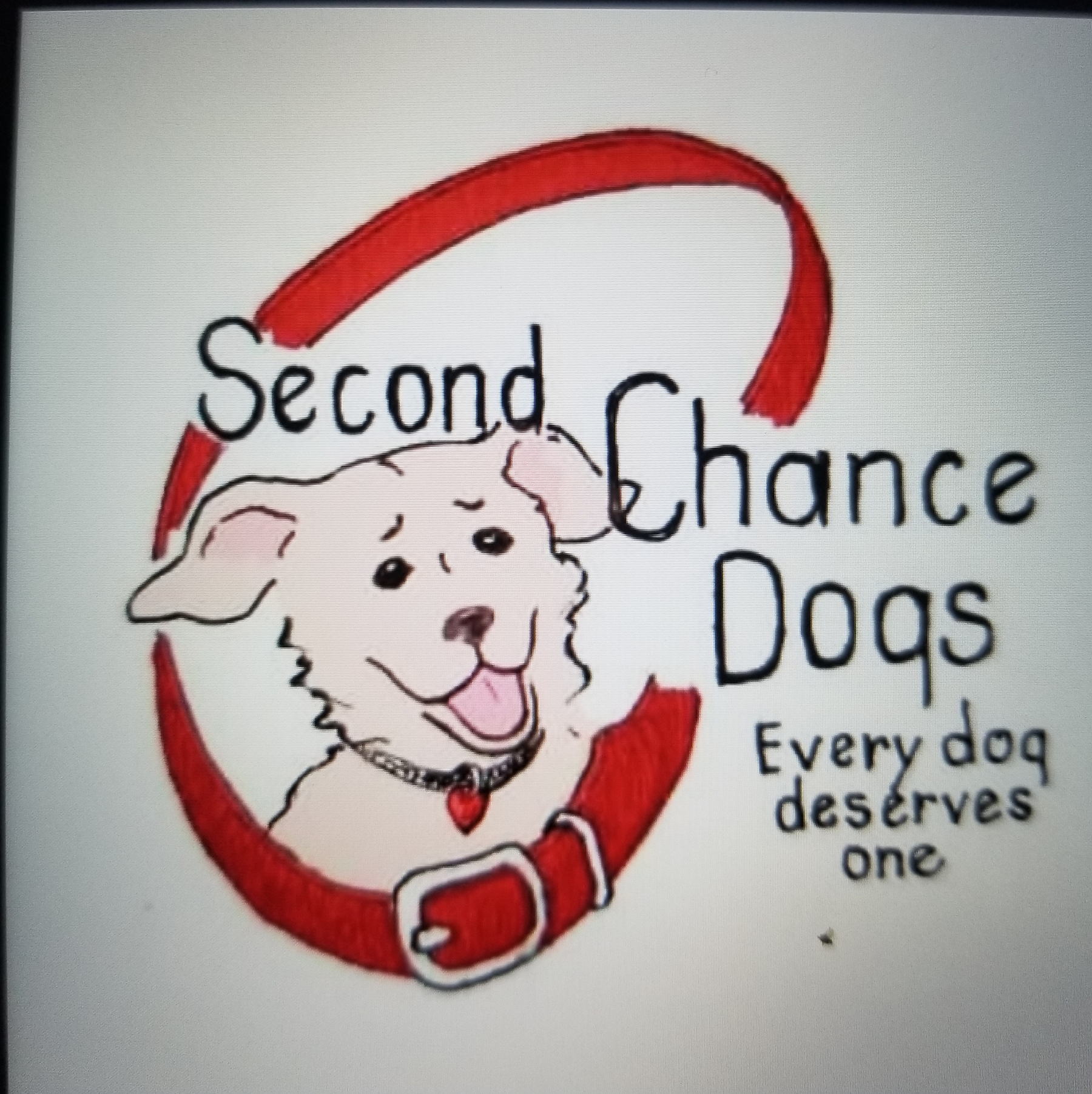 Second Chance Dogs | Washington Gives