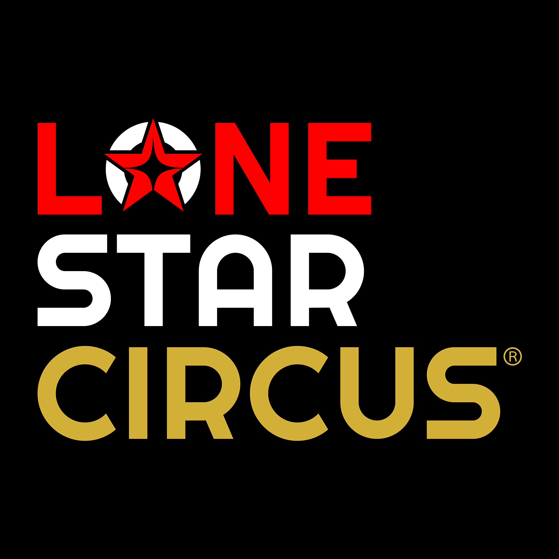 Lone Star Circus Arts Center Inc. | North Texas Giving Day
