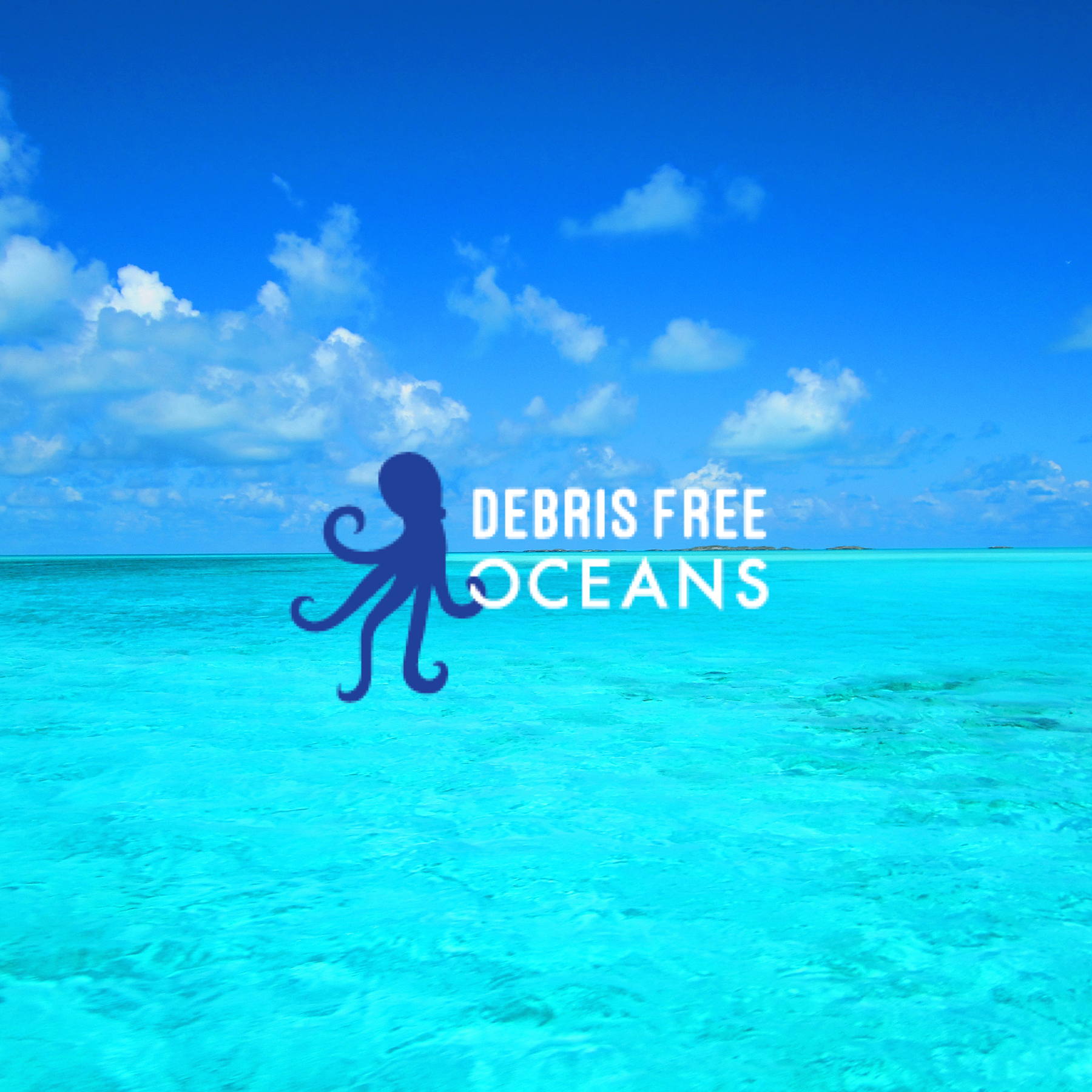 Debris Free Oceans | Give Miami Day