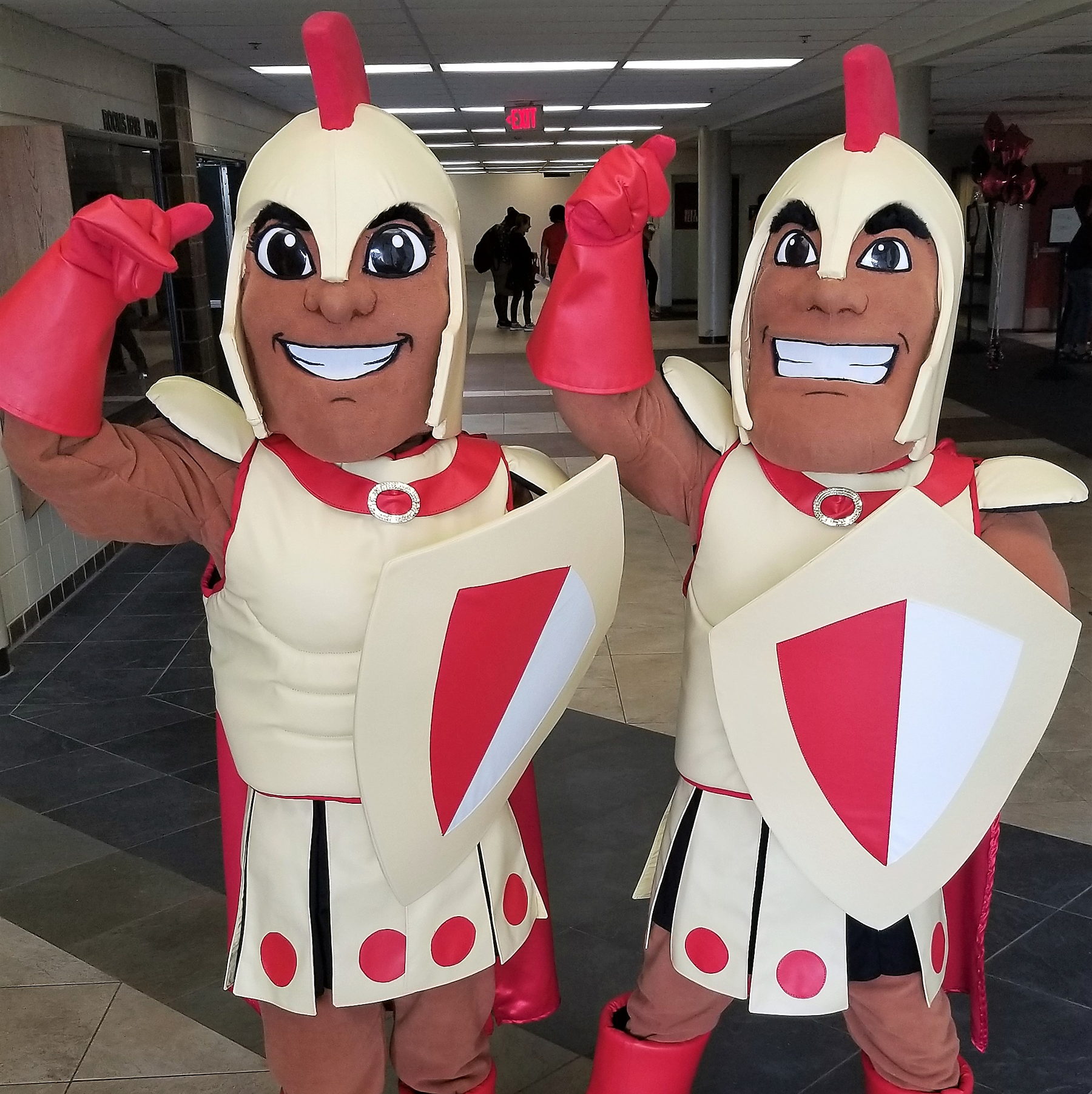 Henry Sibley High School | GiveMN