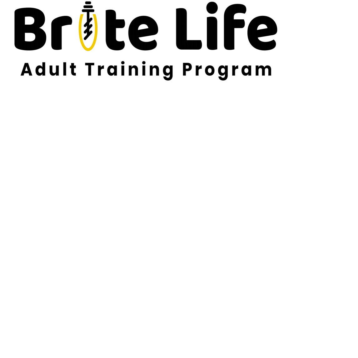 Brite Life Adult Training Program | Give Miami Day