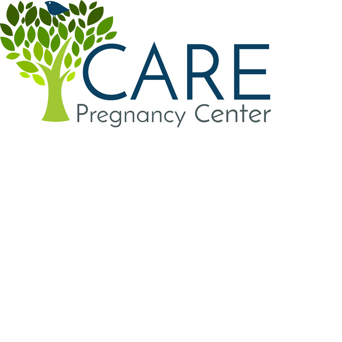 Care Pregnancy Center | Give for Good