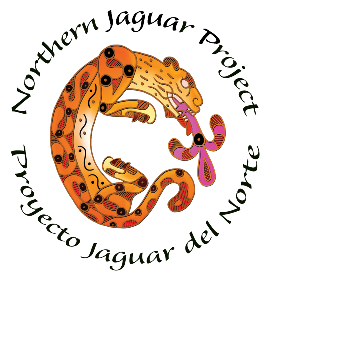 Northern Jaguar Project | Arizona Gives
