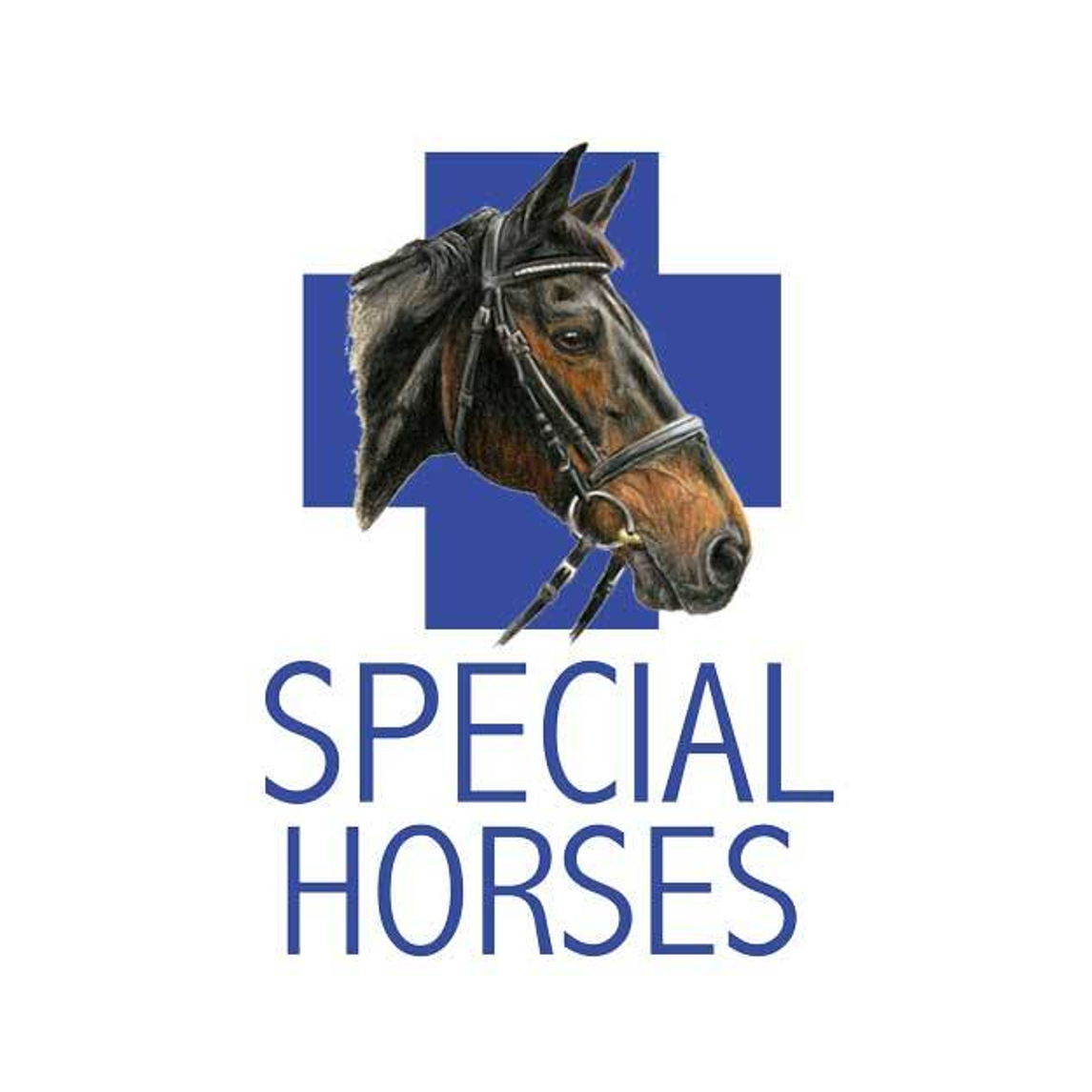 Special Horses | Give STL Day