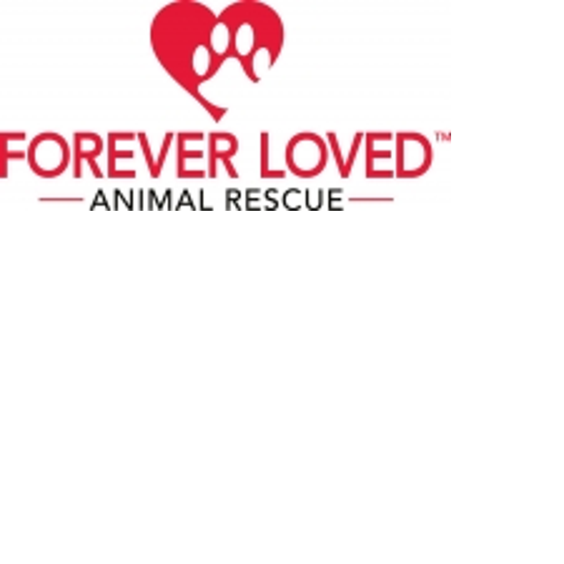 Forever Loved | GiveMN