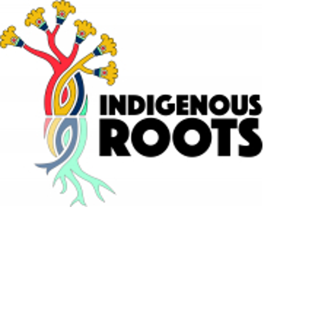 Indigenous Roots | GiveMN