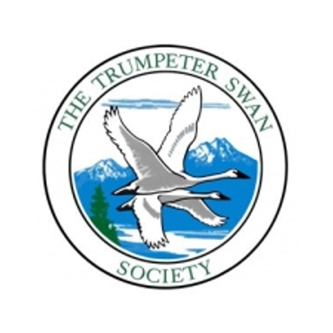 Trumpeter Swan Society | GiveMN