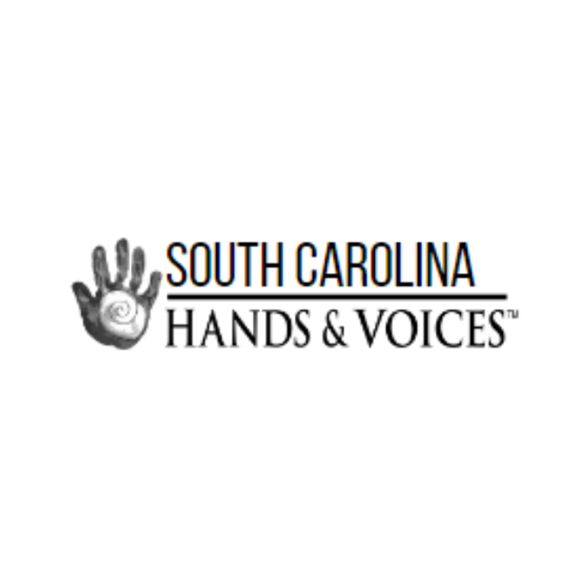 SC Hands & Voices | Midlands Gives