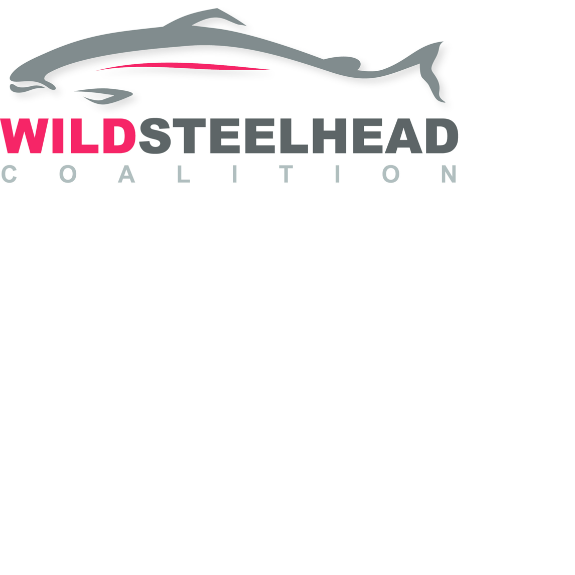 Wild Steelhead Coalition | Washington Gives