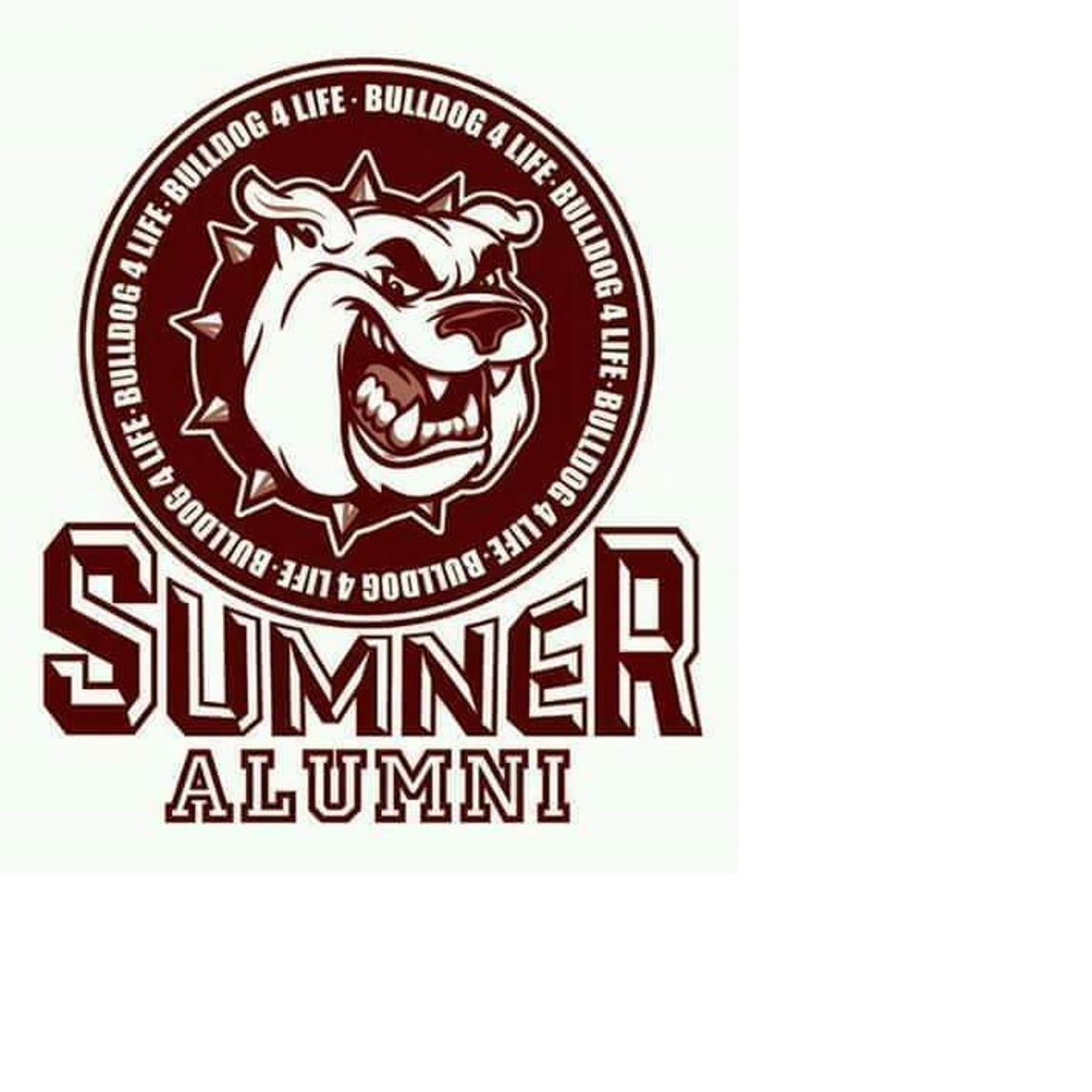 The Sumner High School Alumni Association (1875) | Give STL Day