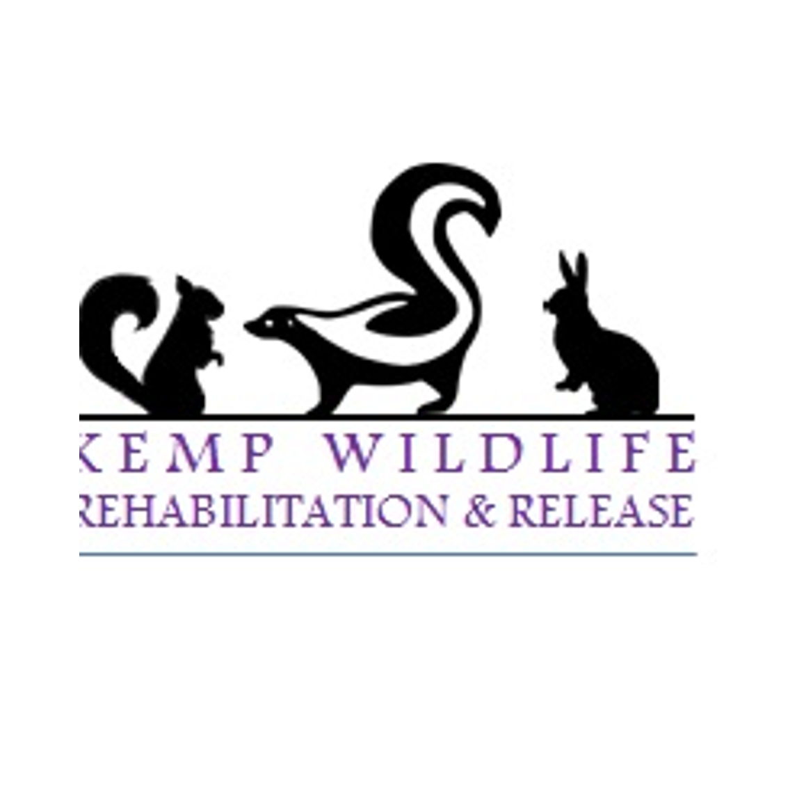 Kemp Wildlife Rehabilitation & Release inc. | Mightycause