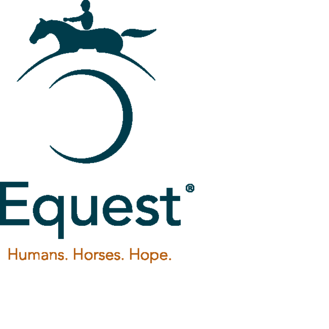 Equest Therapeutic Horsemanship | North Texas Giving Day