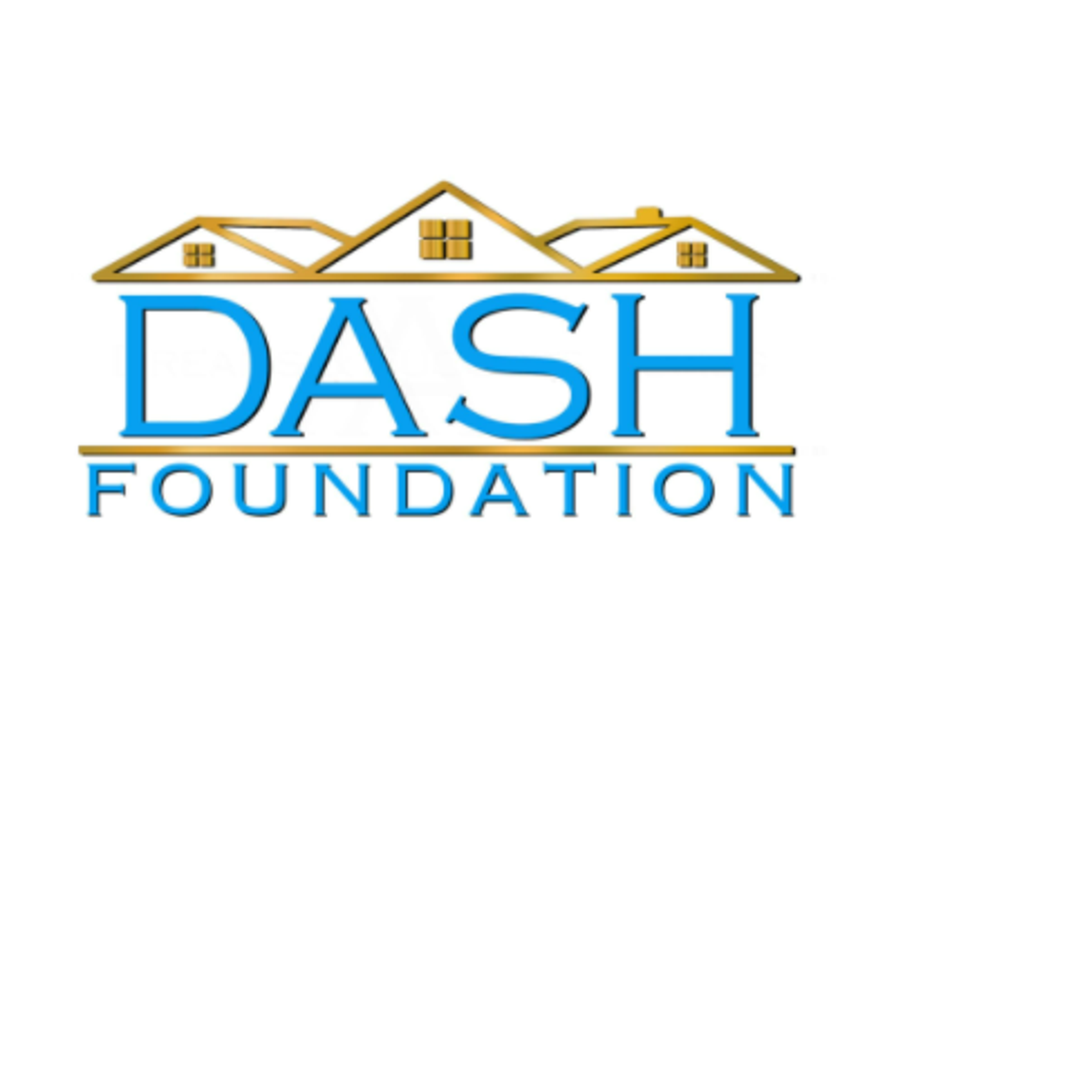 DASH FOUNDATION INC | Give Miami Day