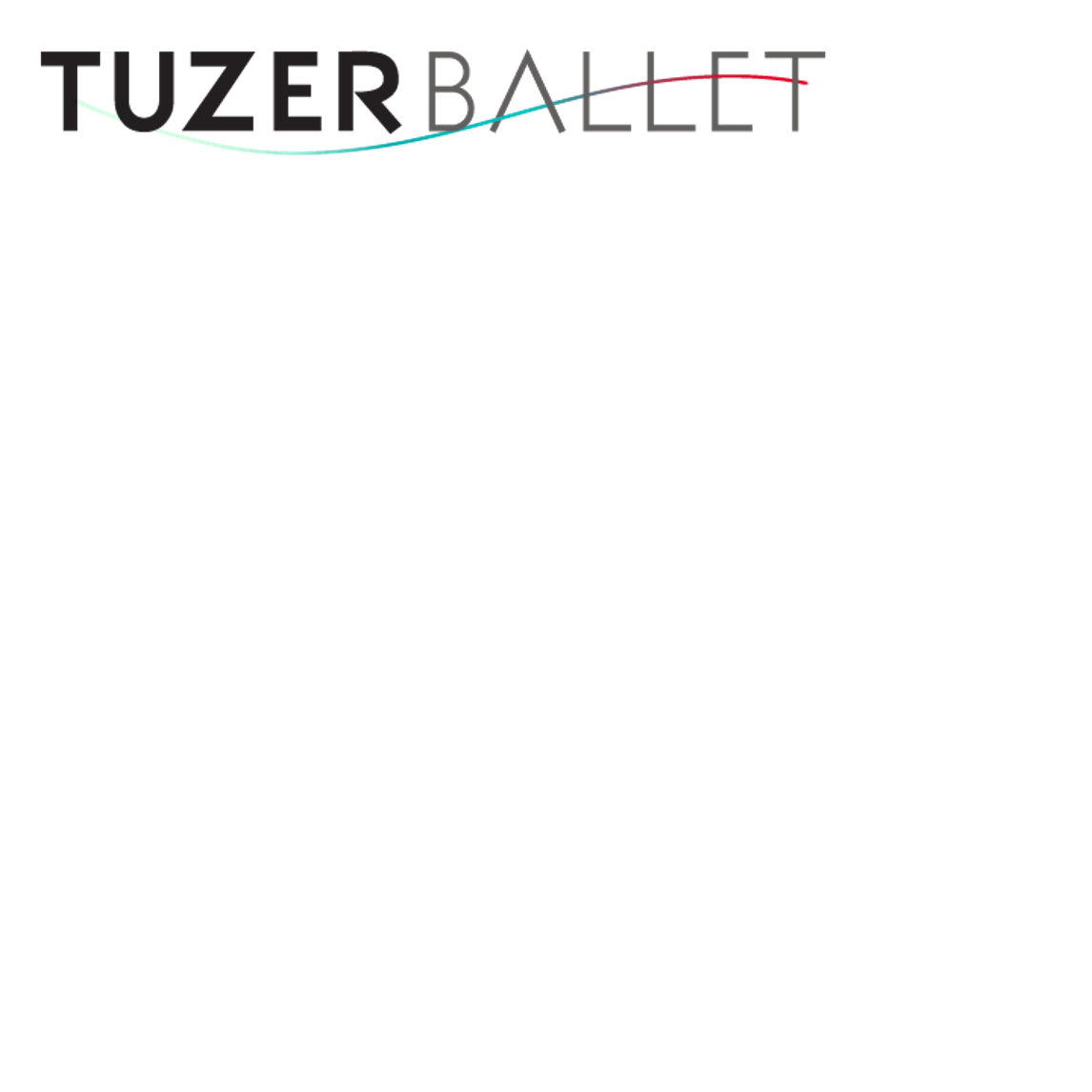 Tuzer Ballet | North Texas Giving Day