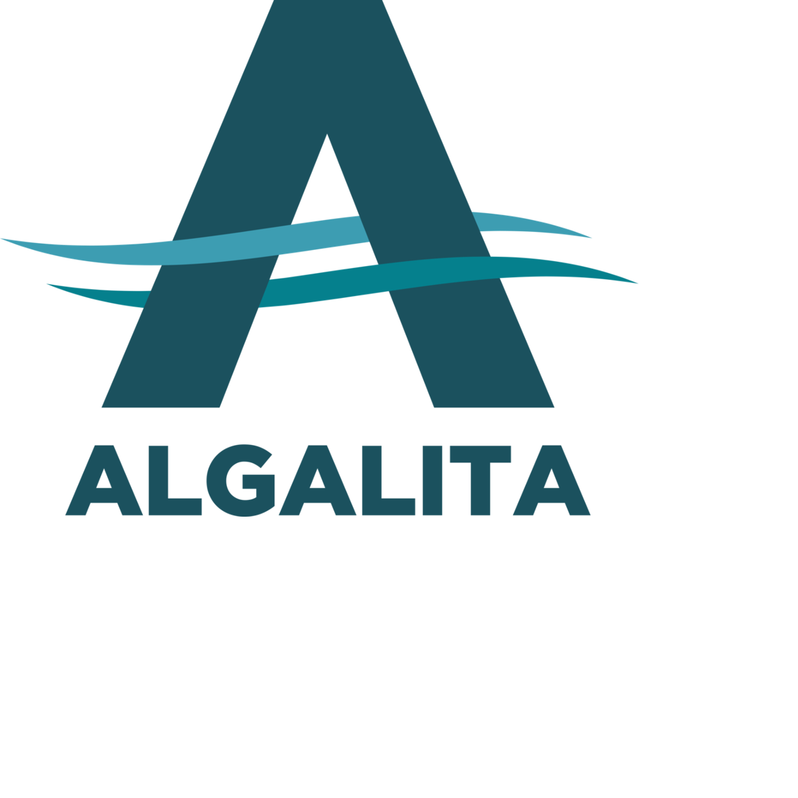 Algalita Marine Research and Education | Long Beach Gives