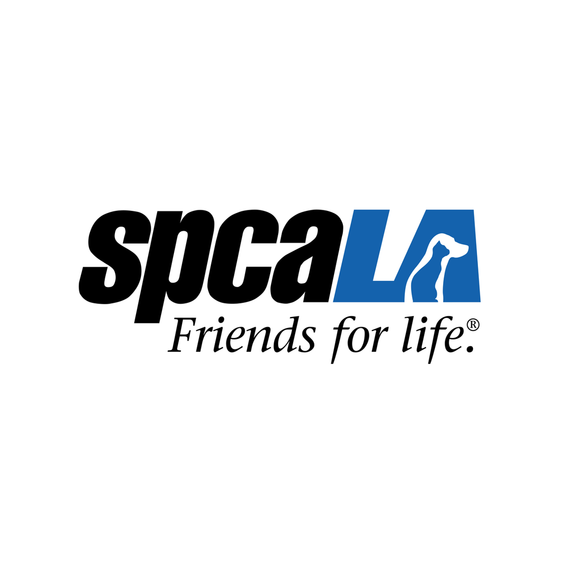 spcaLA | Long Beach Gives