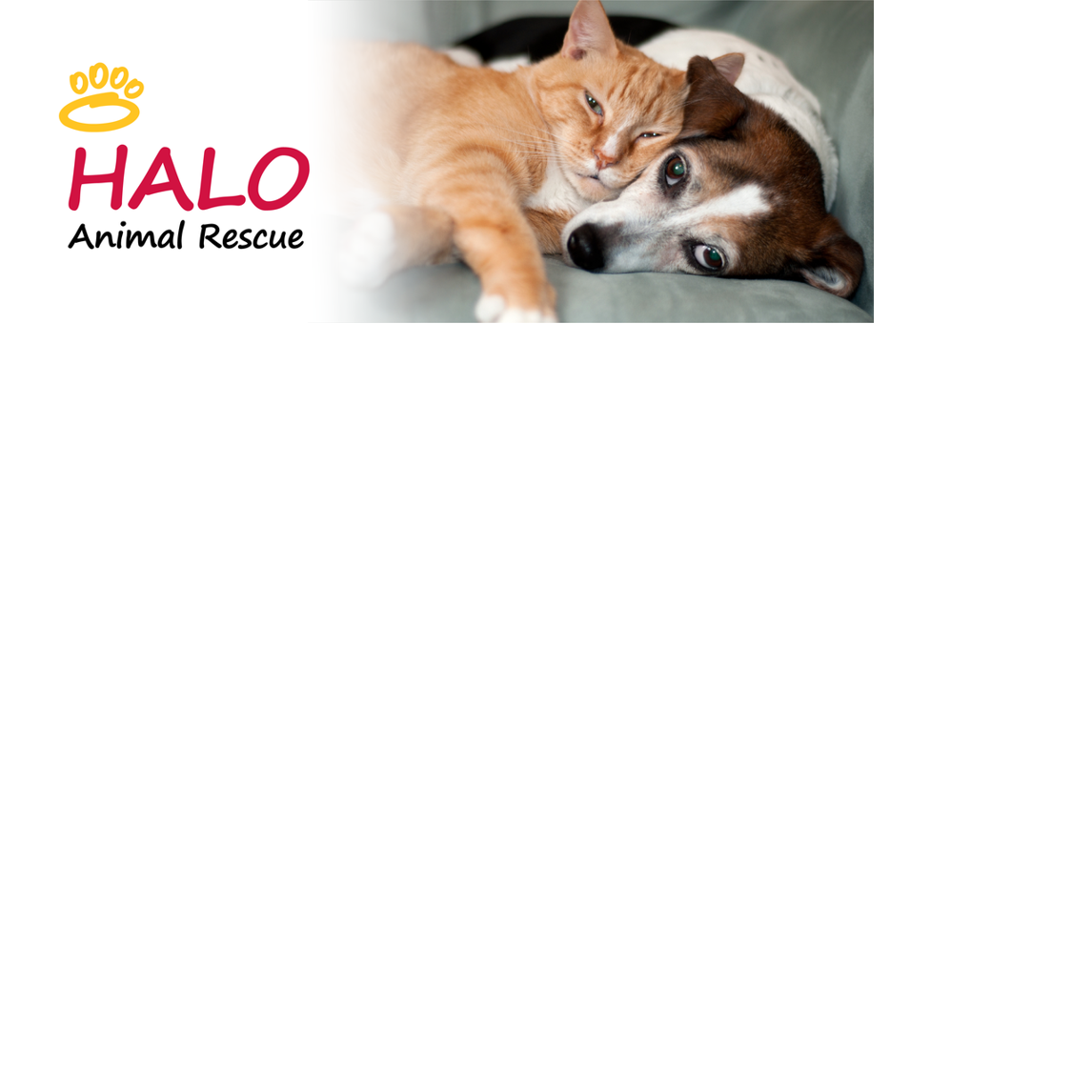 HALO Helping Animals Live On | Mightycause