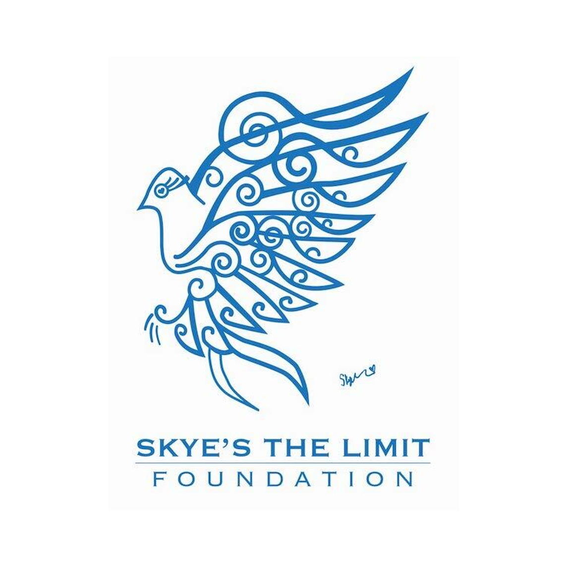 Skye's the Limit! Foundation QCO 22557 | Arizona Gives