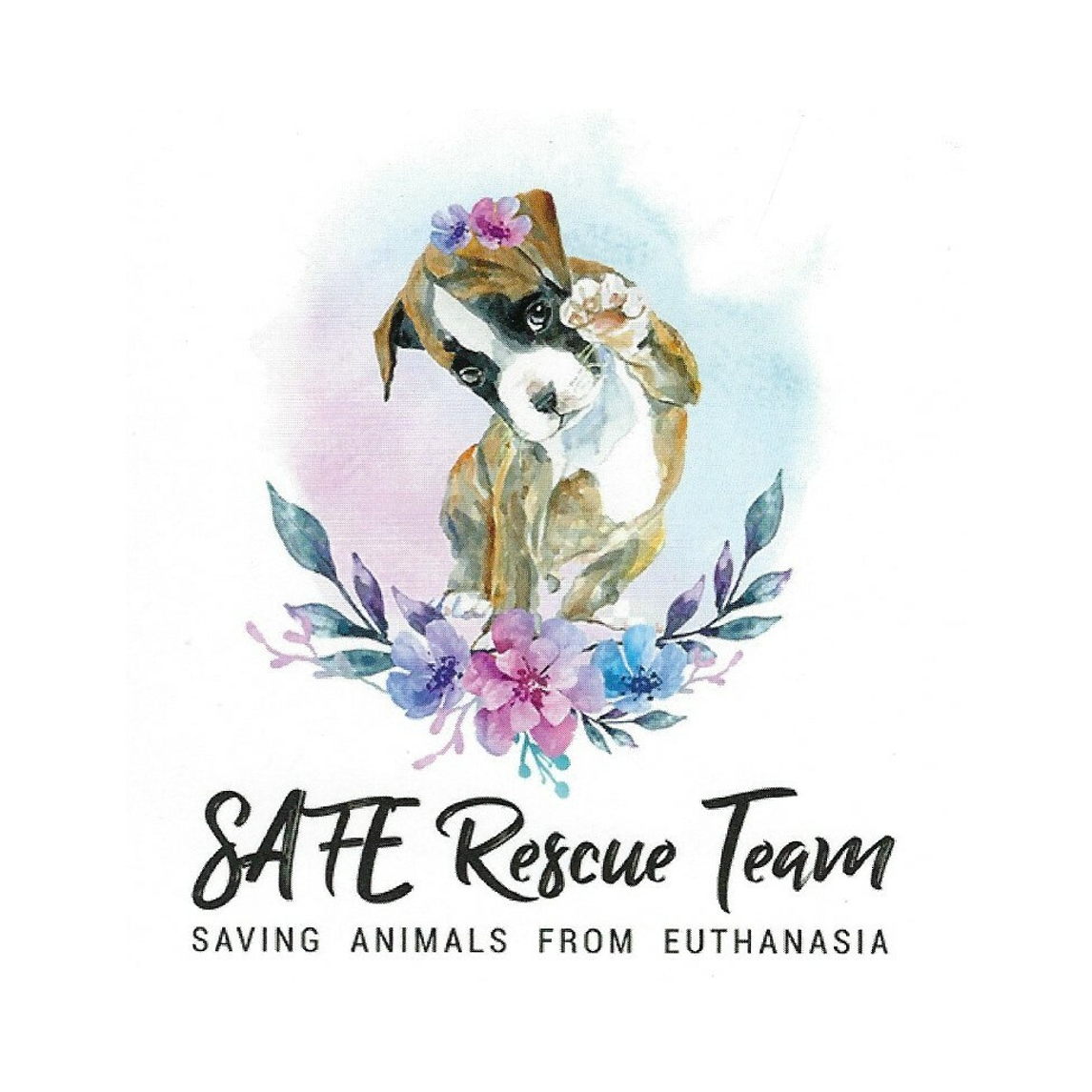 SAFE Rescue Team | Long Beach Gives