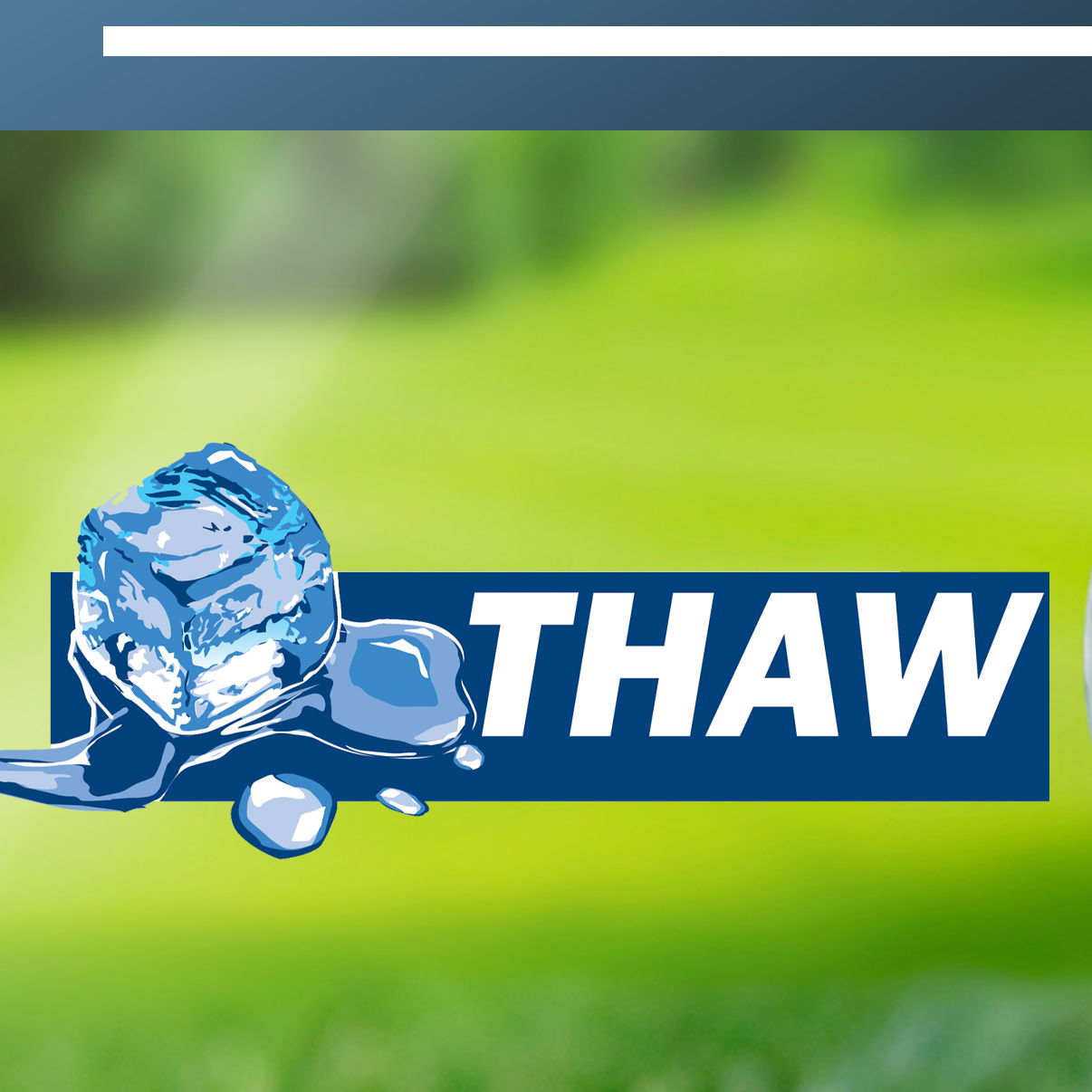T.H.A.W Inc | Give 828