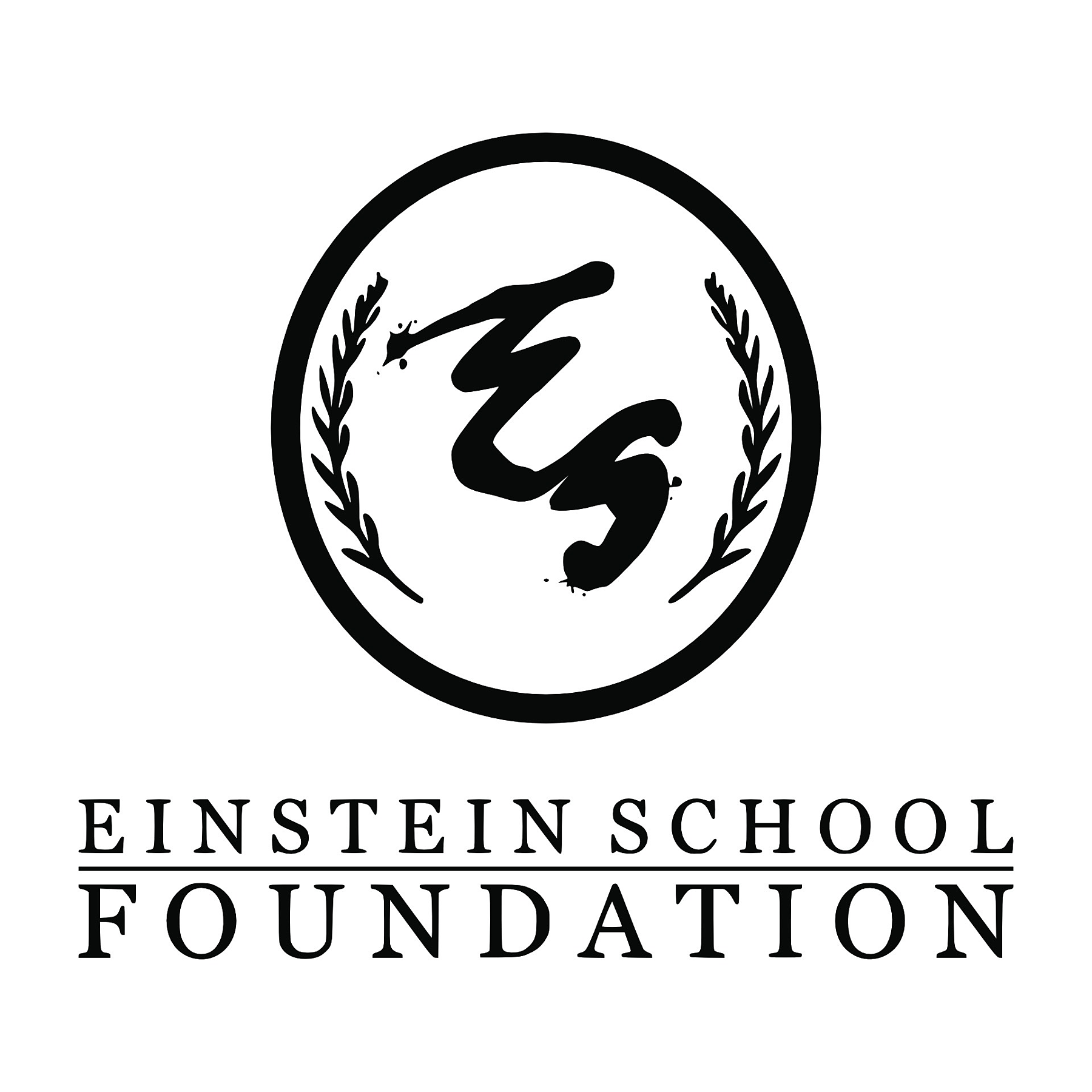 Einstein School Foundation | North Texas Giving Day