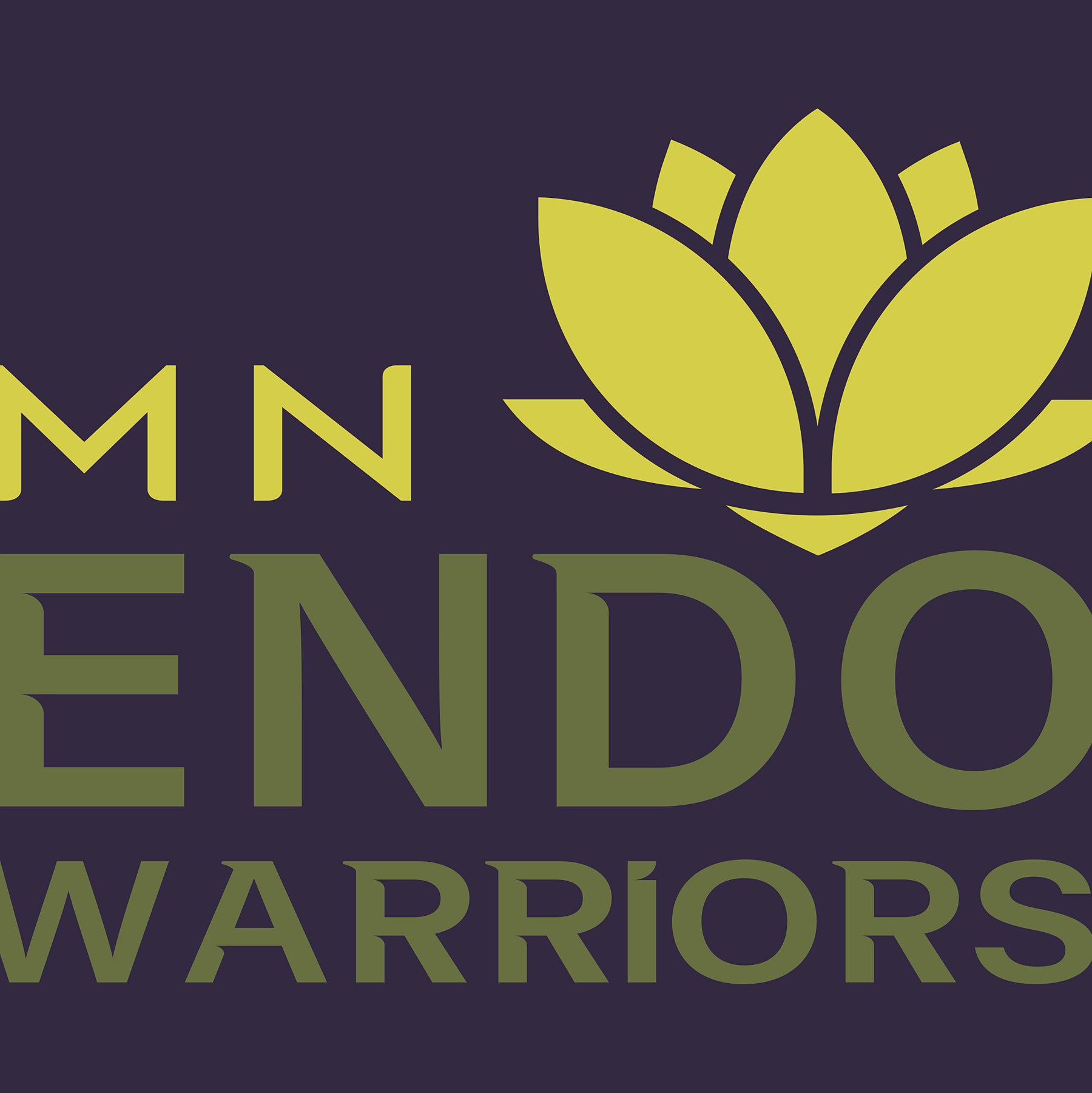 Minnesota Endo Warriors | GiveMN