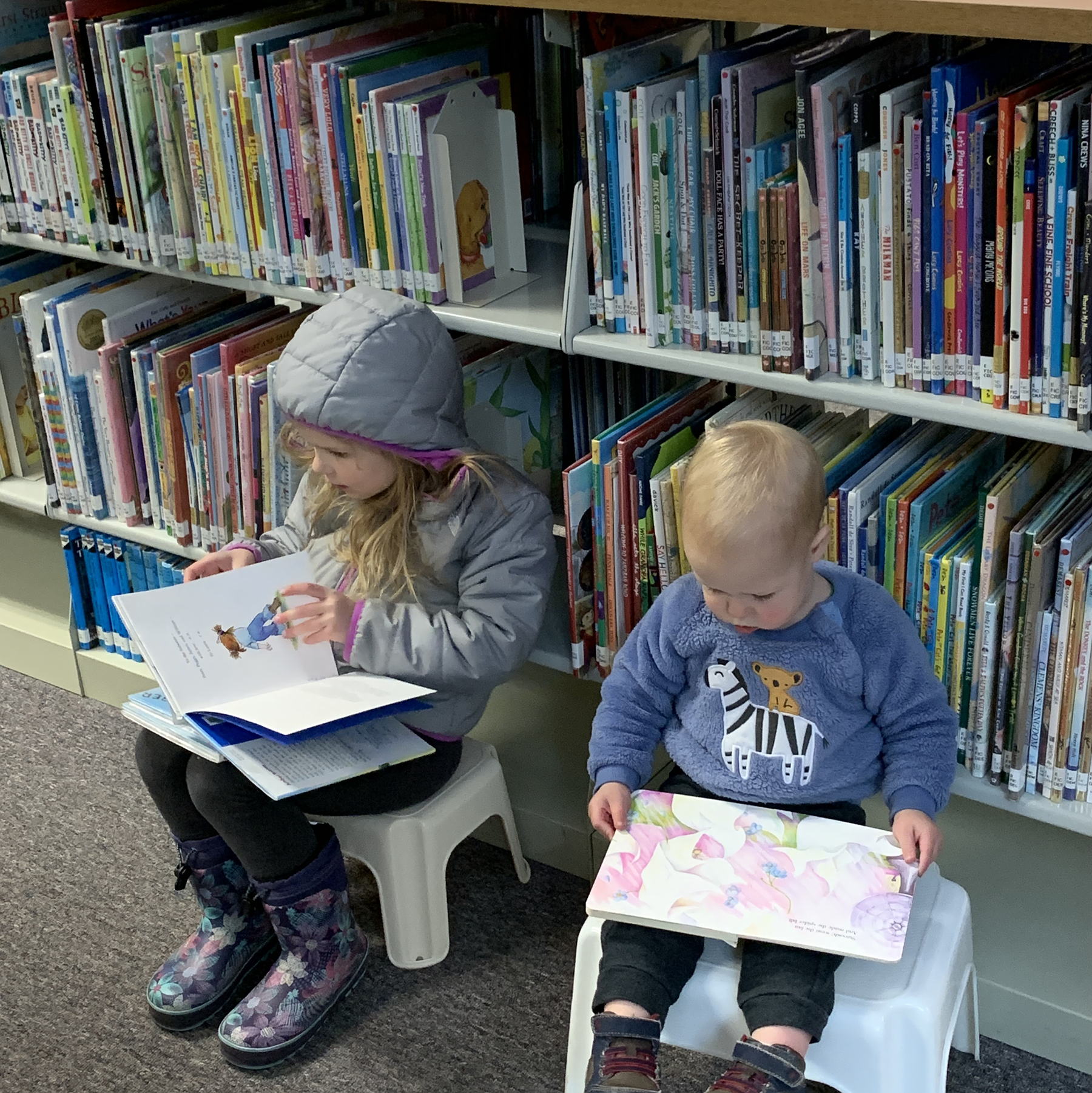 Trinity County Friends of the Library | North State Giving Tuesday