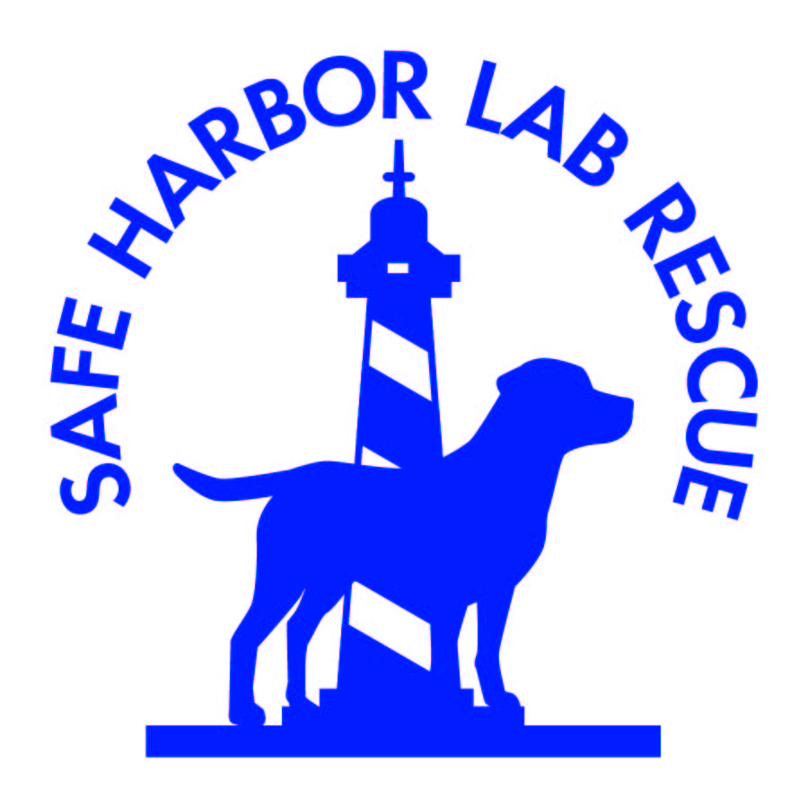 Safe Harbor Lab Rescue | ColoradoGives.org