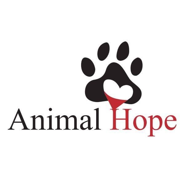 Animal Hope Inc | North Texas Giving Day
